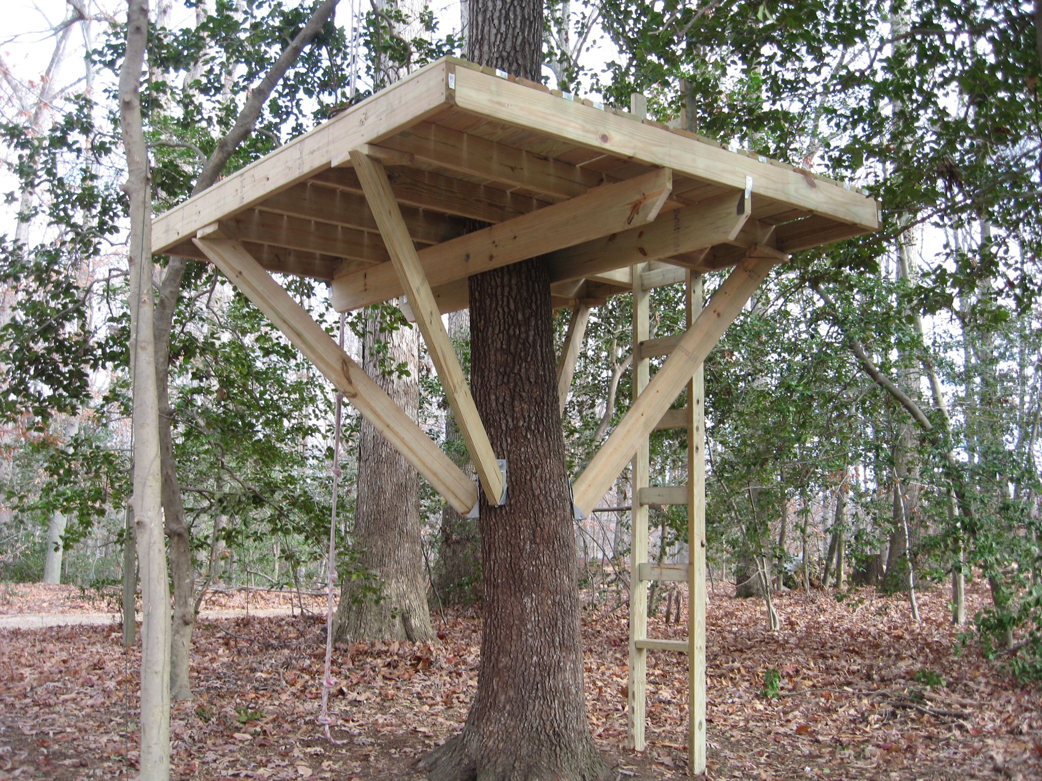My Treehouse : 5 Steps - Instructables