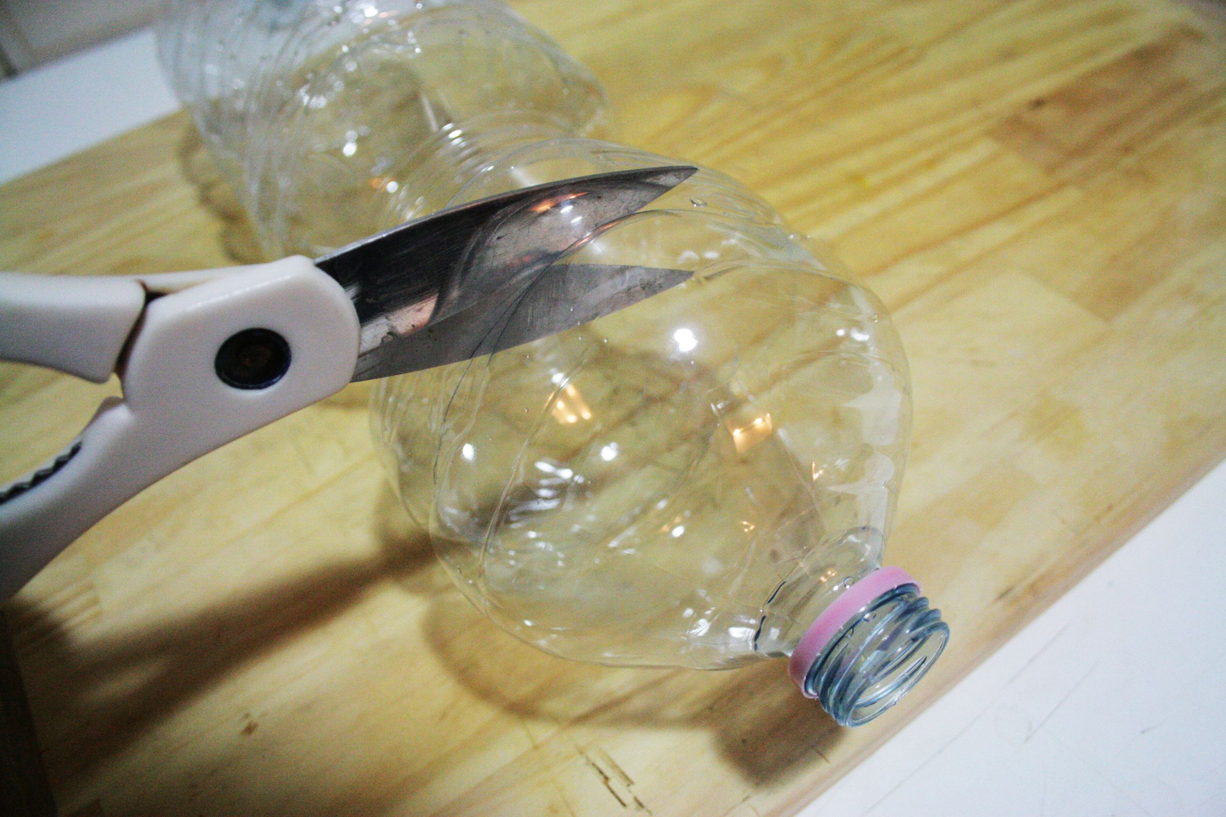 Homemade Mosquito 2 Liter Bottle