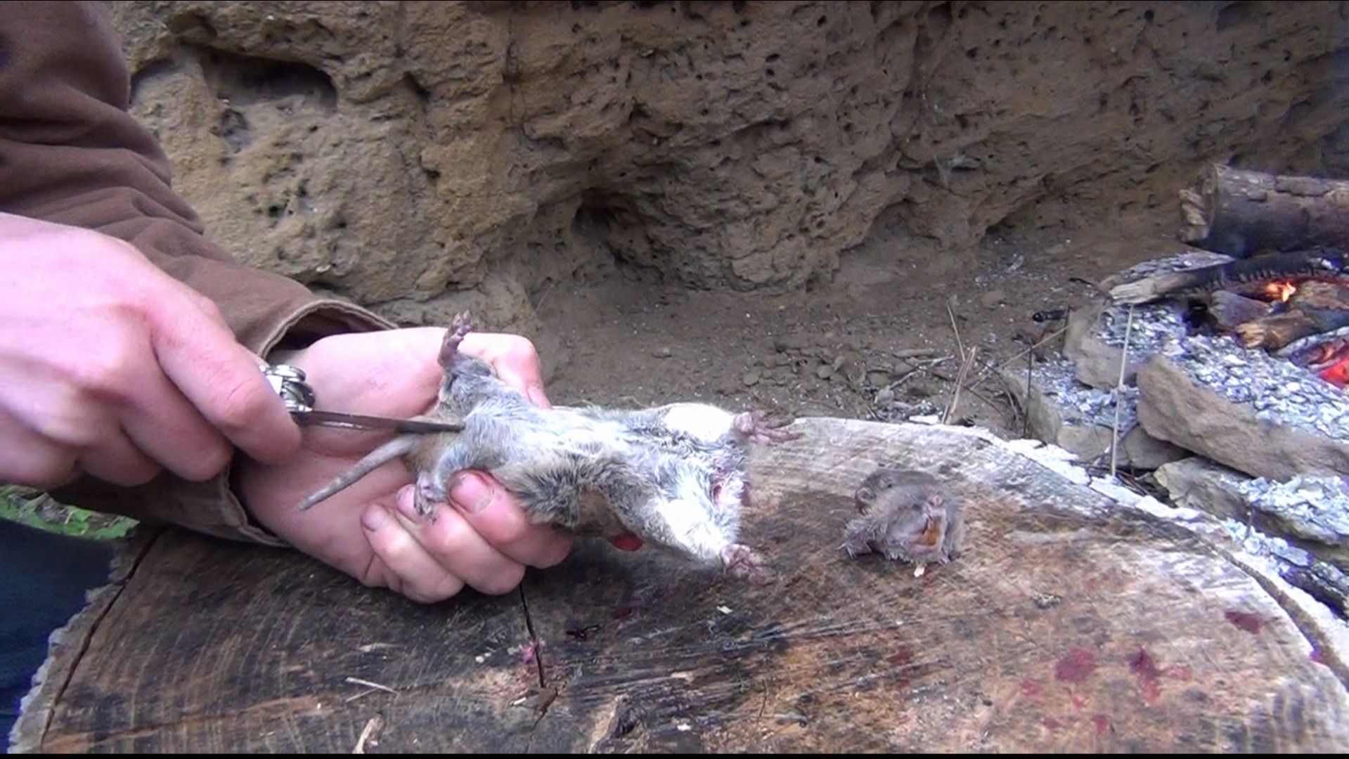 How to Skin and Cook Gopher : 7 Steps (with Pictures) - Instructables