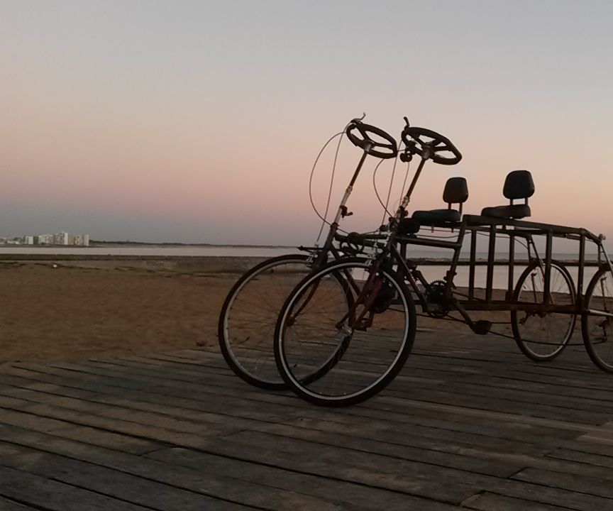Bike Car One or Two Place : 6 Steps (with Pictures) - Instructables