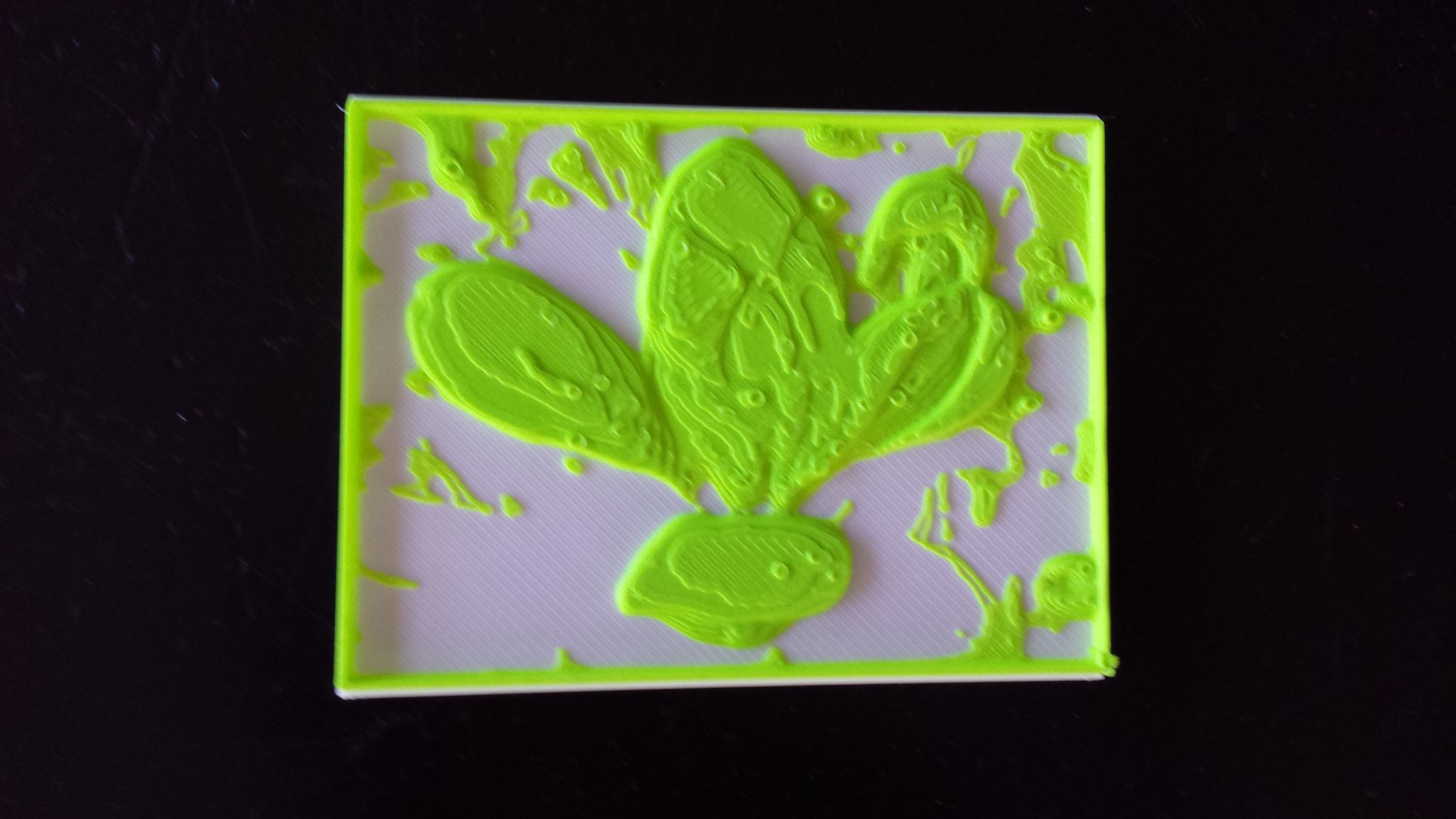 Dual Color 3d Printed Image : 4 Steps (with Pictures) - Instructables