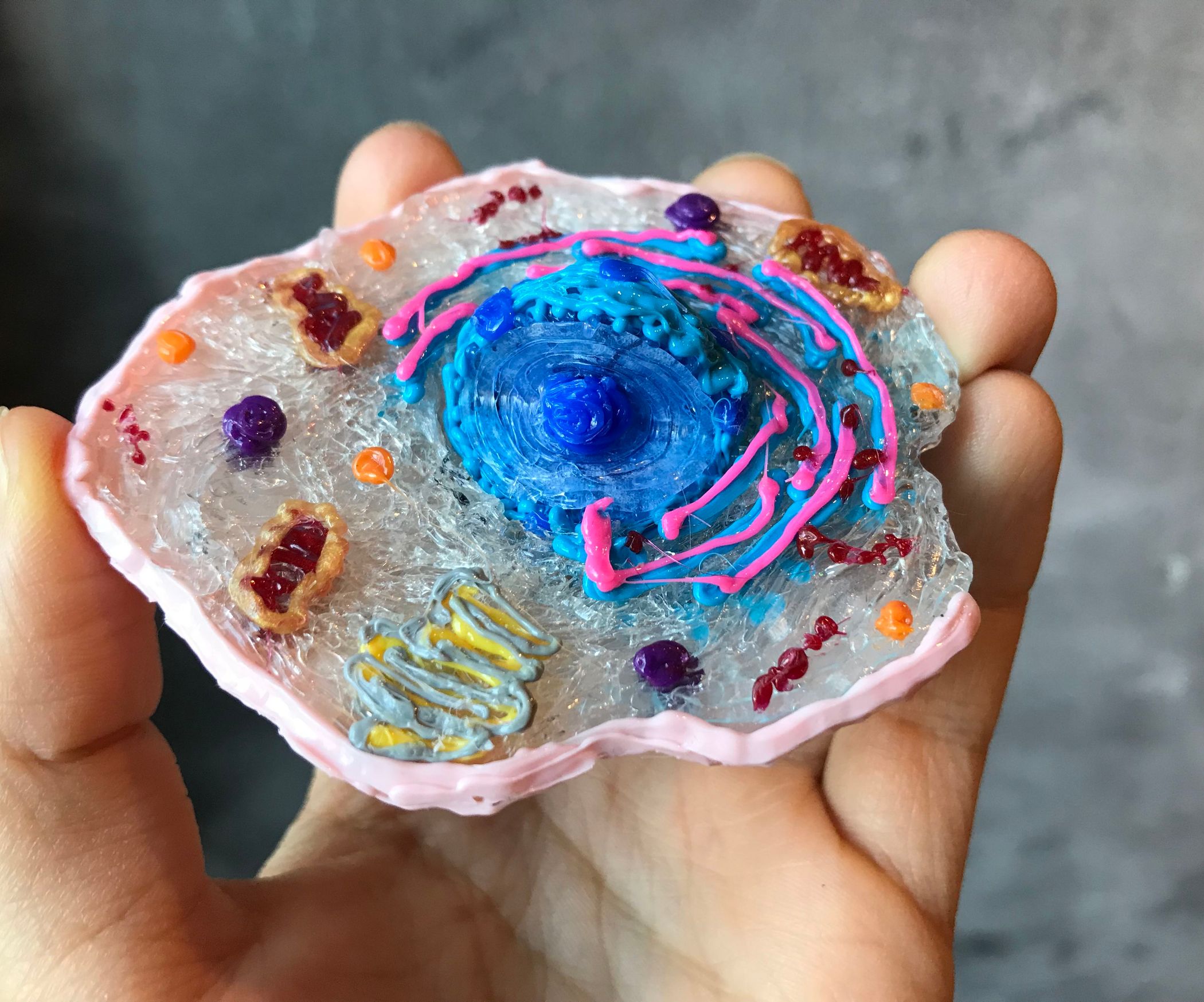 3Doodled Cell Model : 5 Steps - Instructables