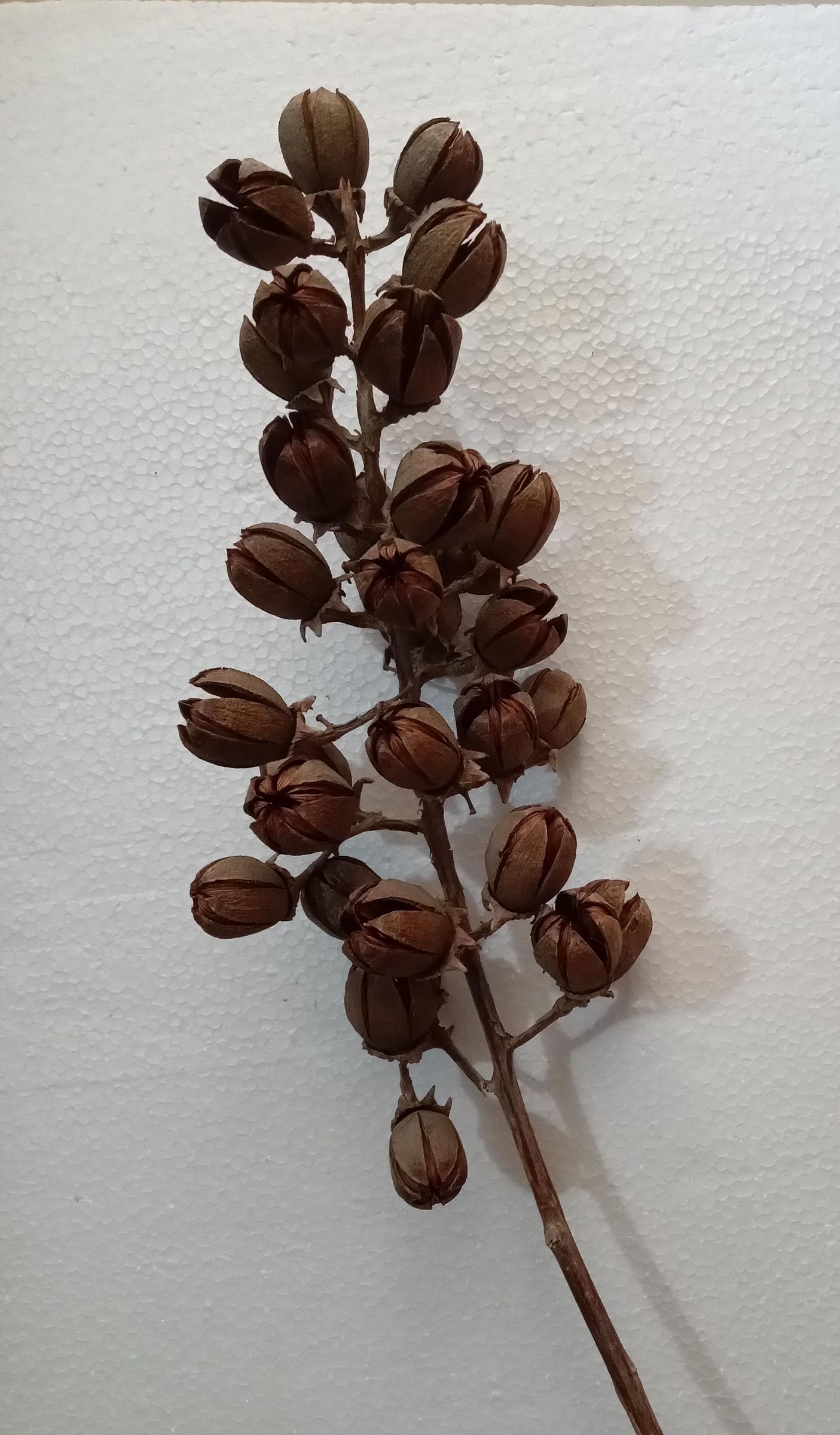 Flower Bouquet From Tamhan Fruits. : 6 Steps (with Pictures ...