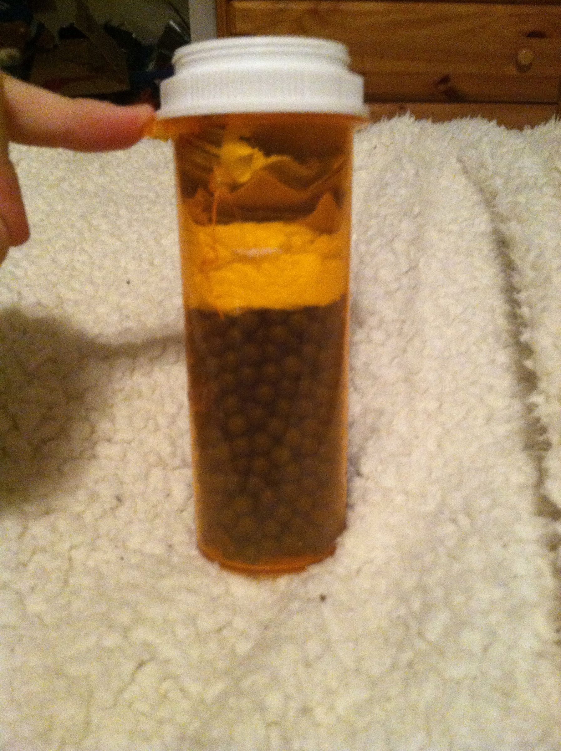 Air Soft BB Container : 6 Steps - Instructables