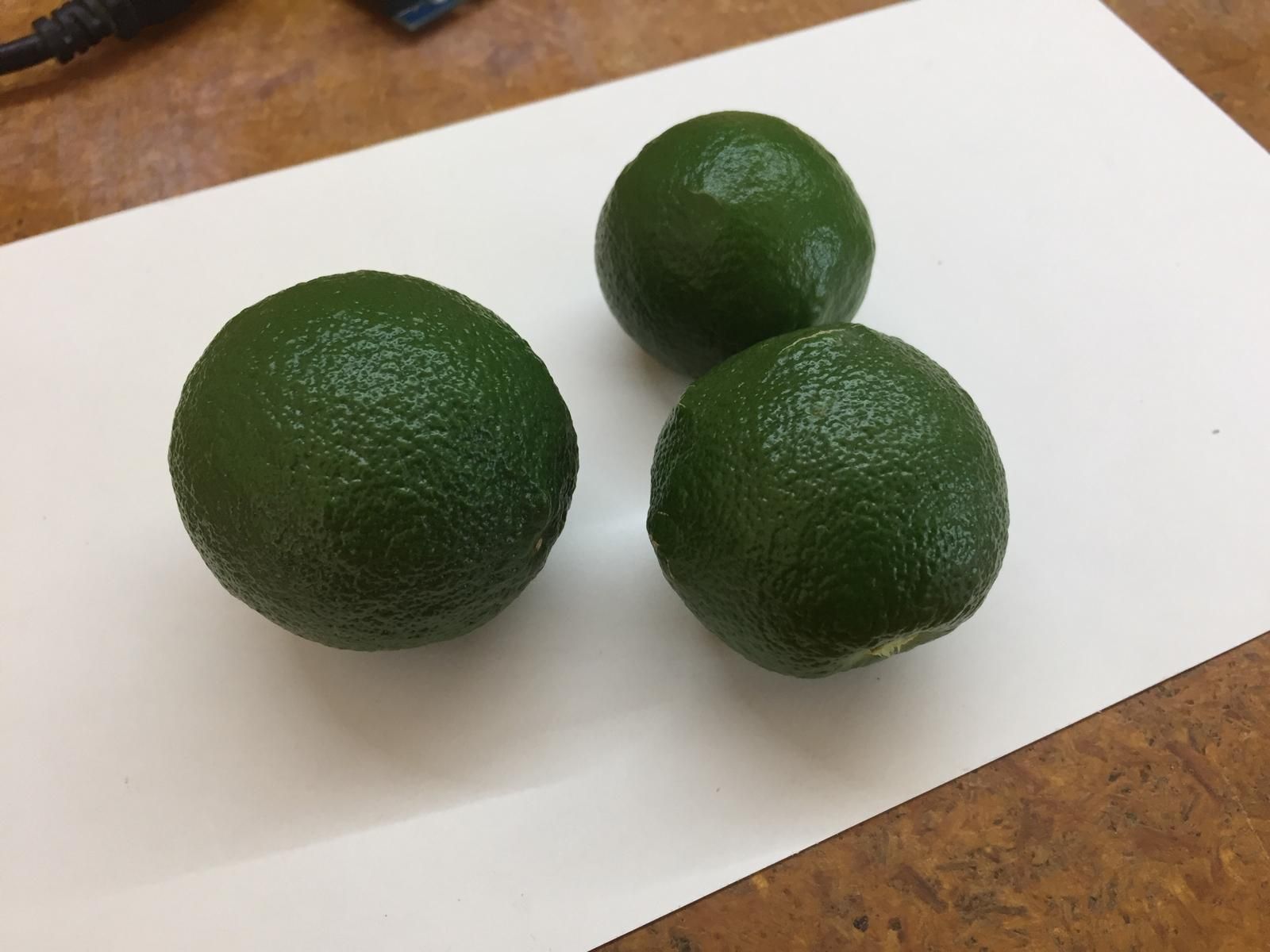 Elemental AI – Automatic Fruit-Sorting Machine : 13 Steps (with ...