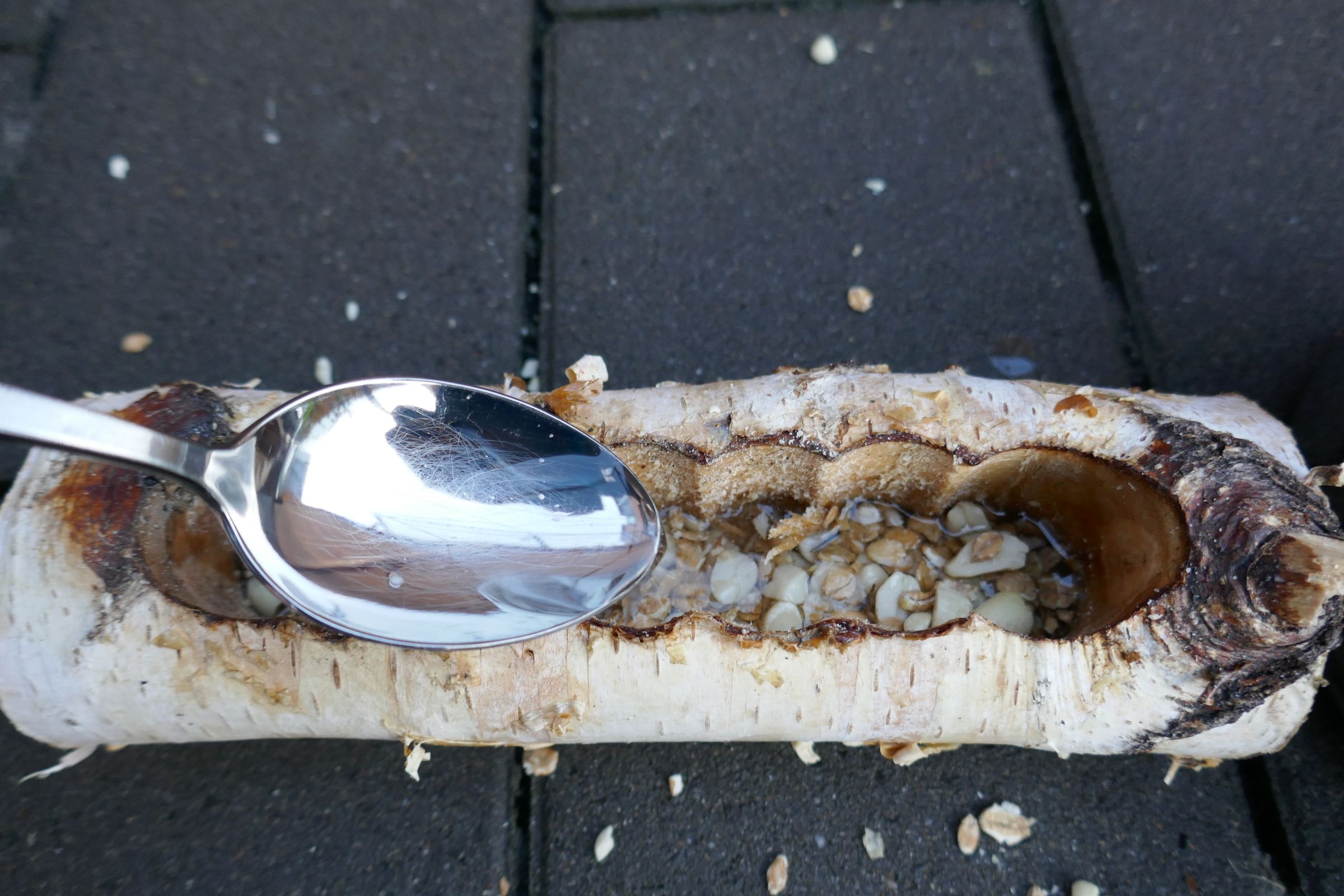 Birch Log Bird Feeder : 4 Steps (with Pictures) - Instructables