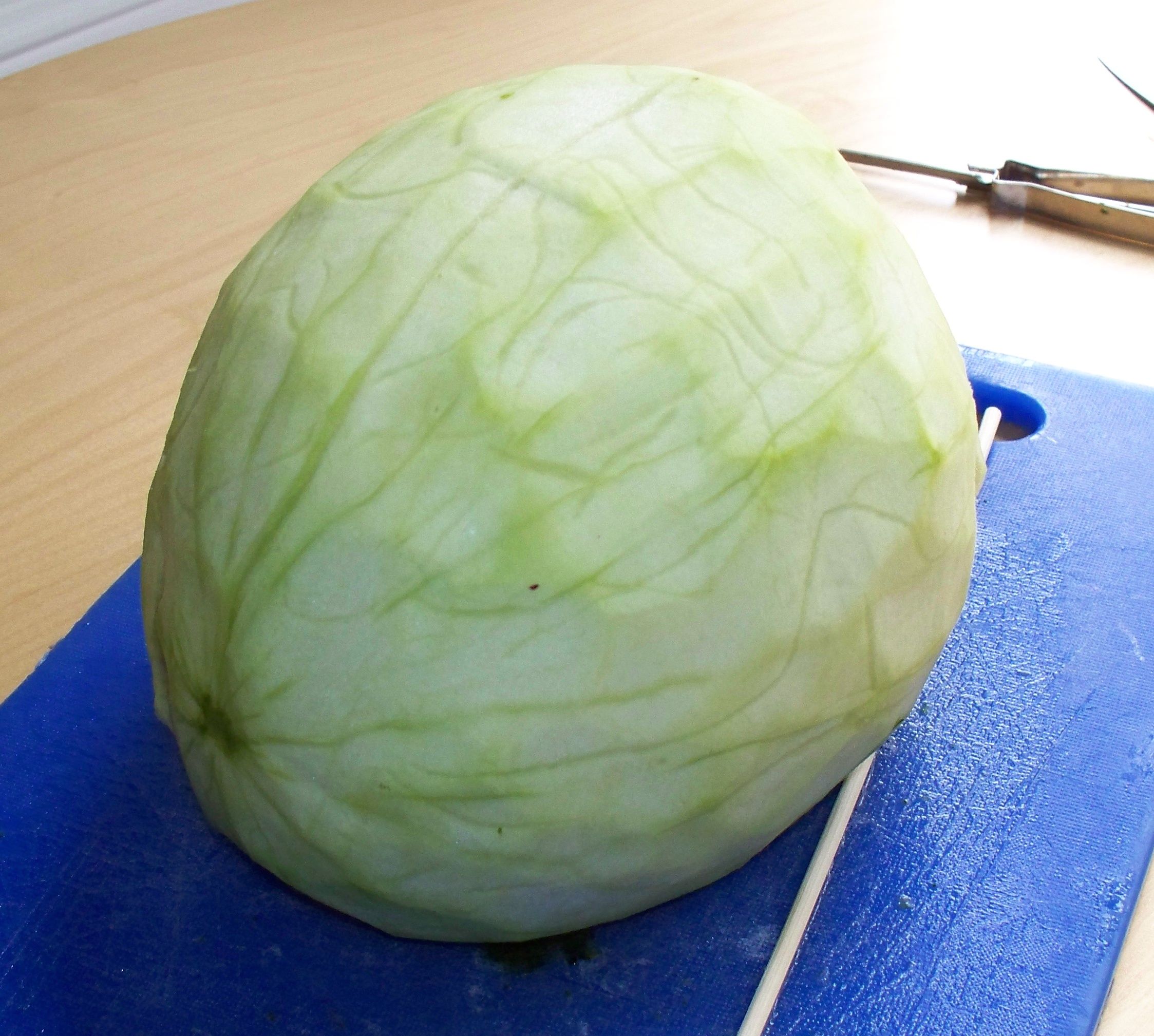 Melon Brains : 4 Steps (with Pictures) - Instructables
