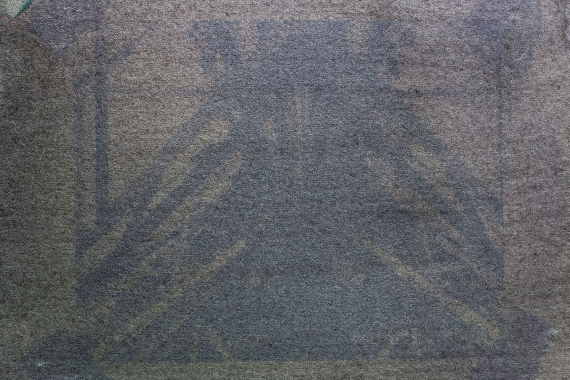 DIY Anthotype Prints: Photography : 5 Steps (with Pictures) - Instructables