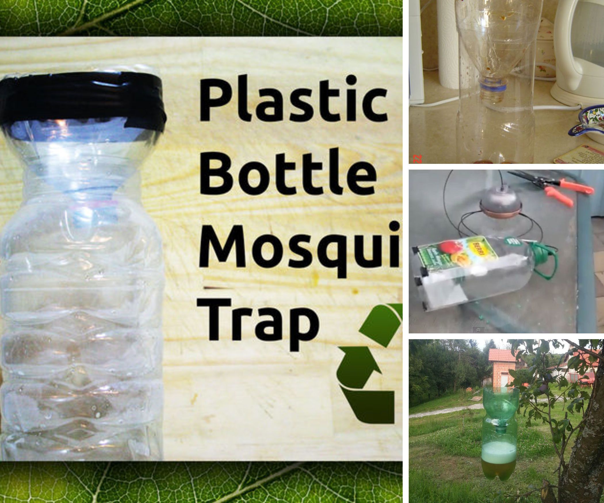 Bug Traps - Instructables