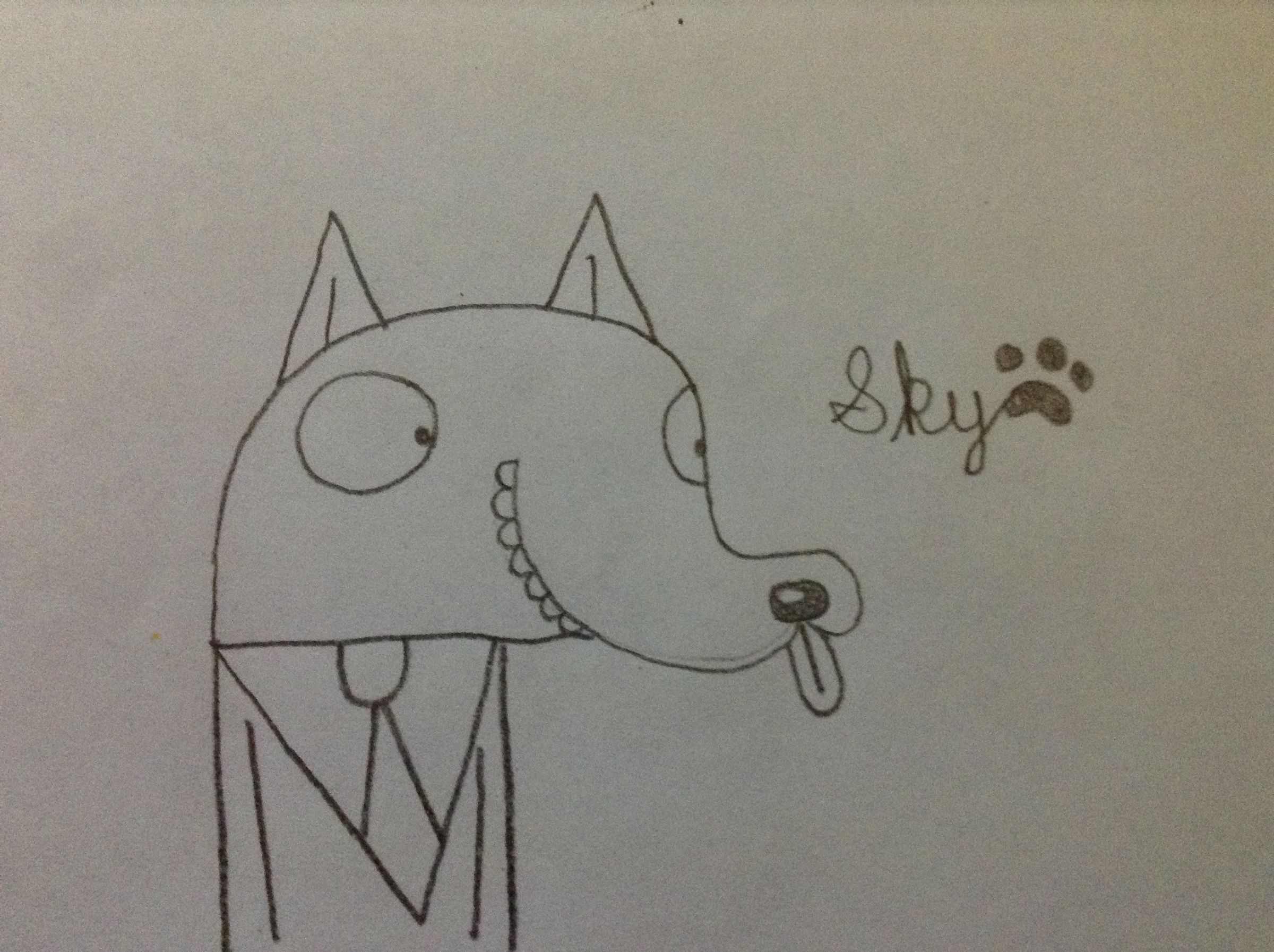 How to Draw Sky the Dog : 12 Steps - Instructables