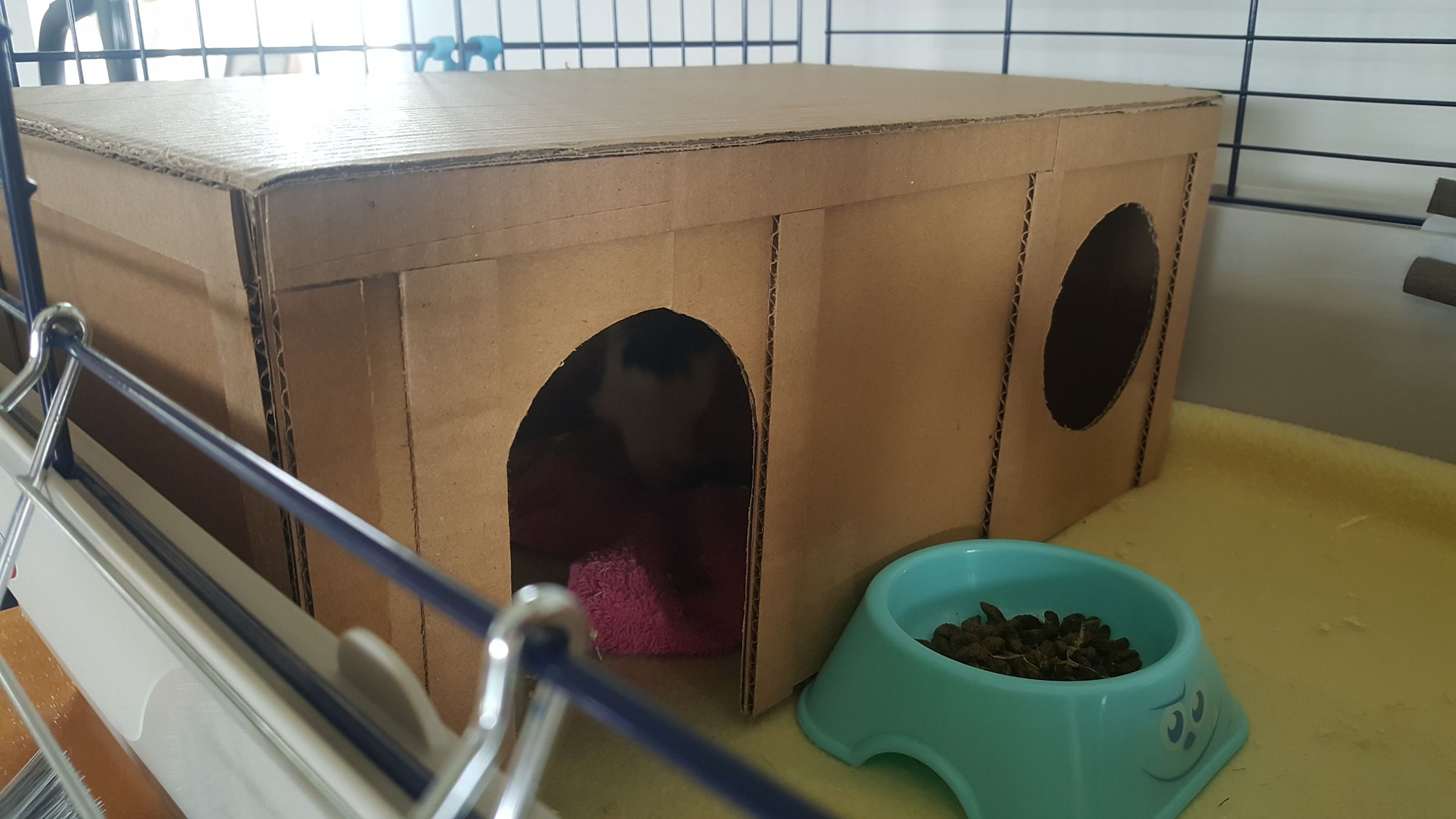 DIY Guinea Pig House : 4 Steps (with Pictures) - Instructables