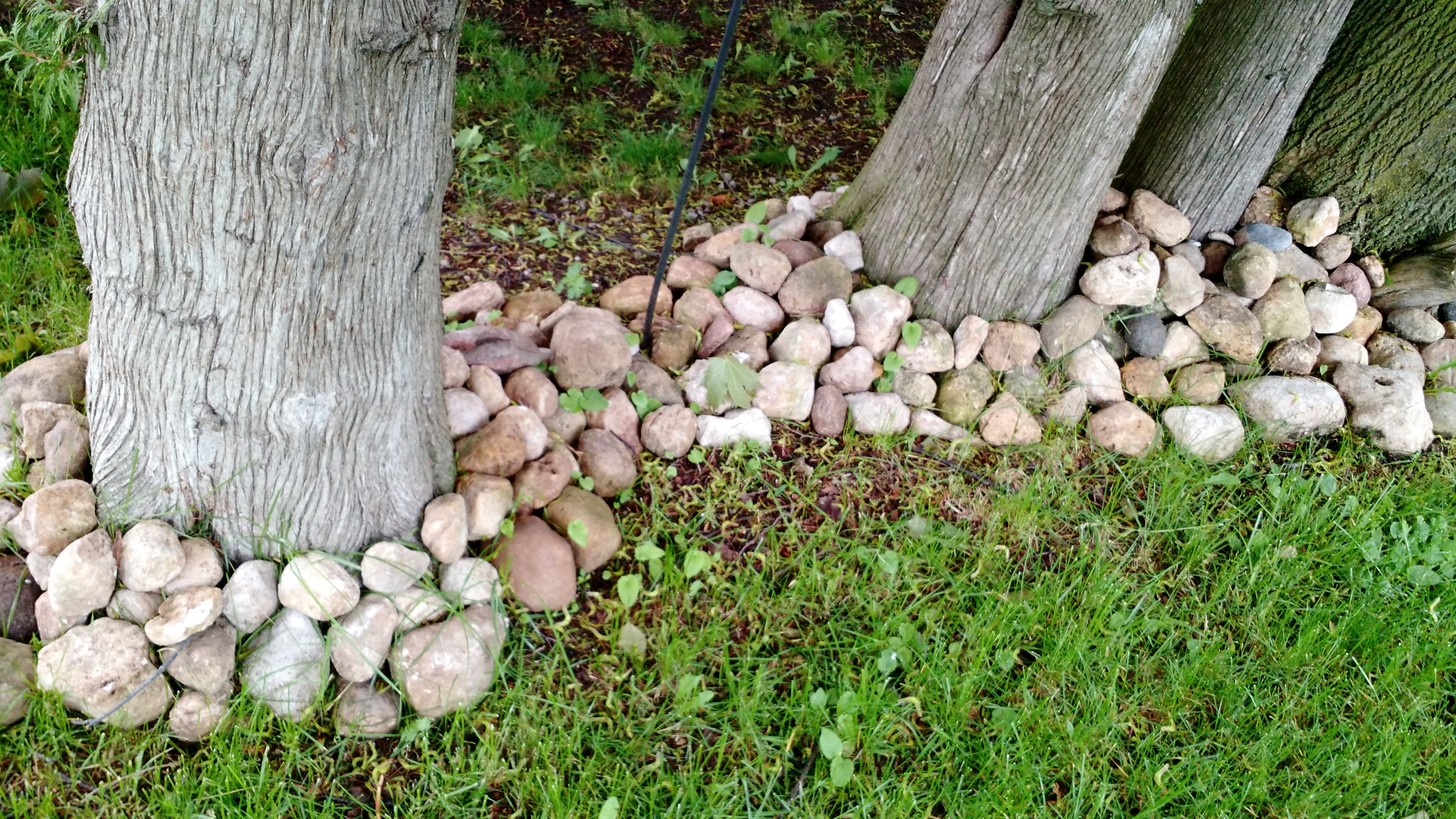 Repurpose Your Rocks! : 3 Steps - Instructables