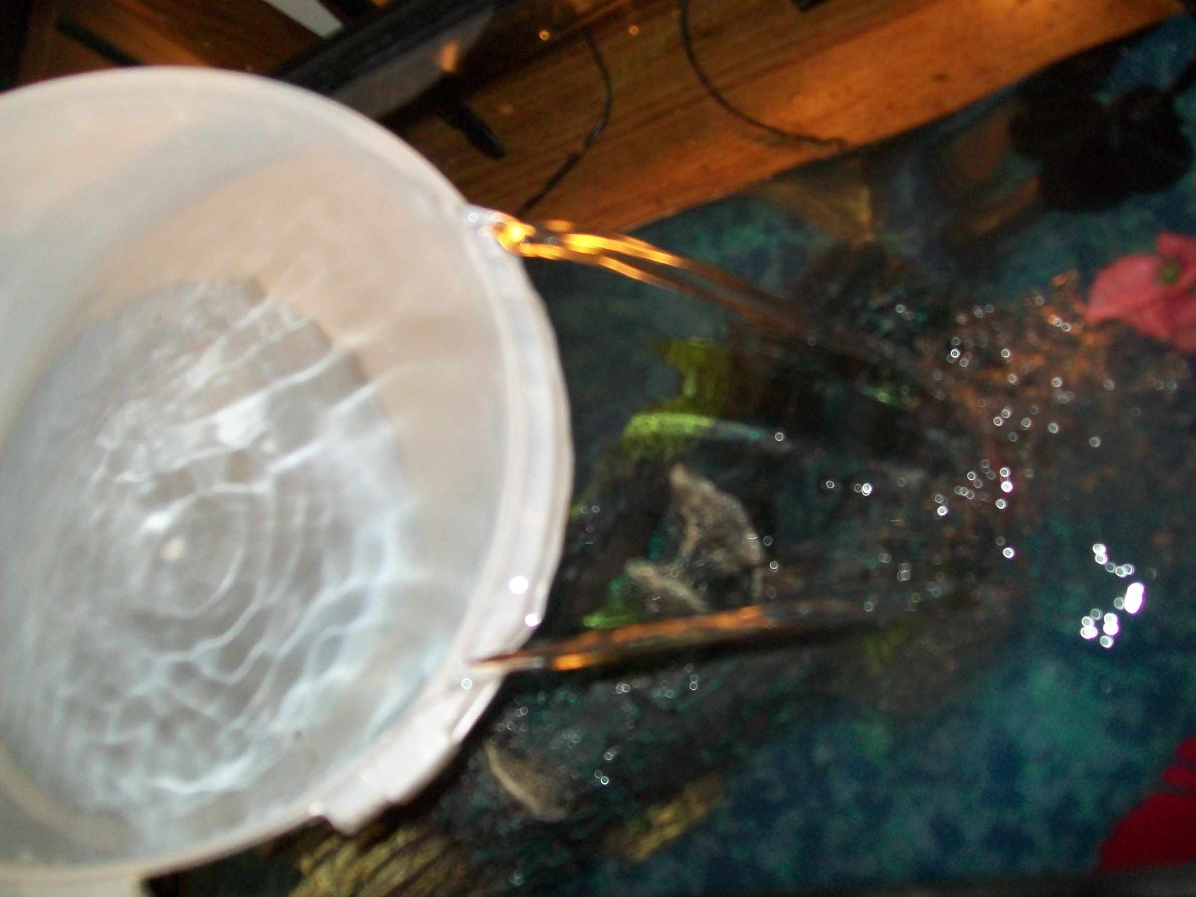 Dirty Tank? Let's Clean It Up! : 10 Steps - Instructables