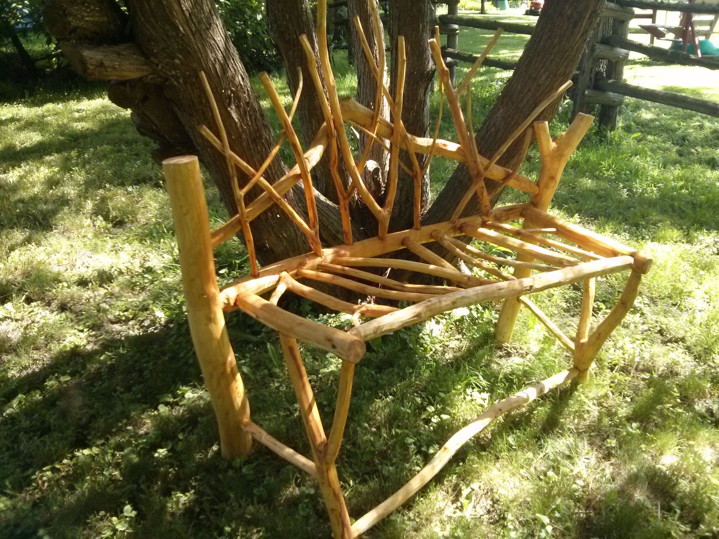 Making Tree Branches Rustic Furniture