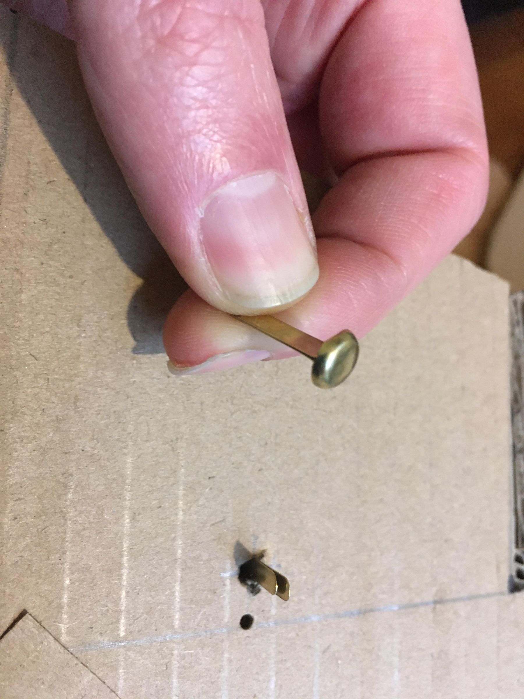 DinoScope: Dinosaur Periscope - Made From Cardboard! : 33 Steps (with ...