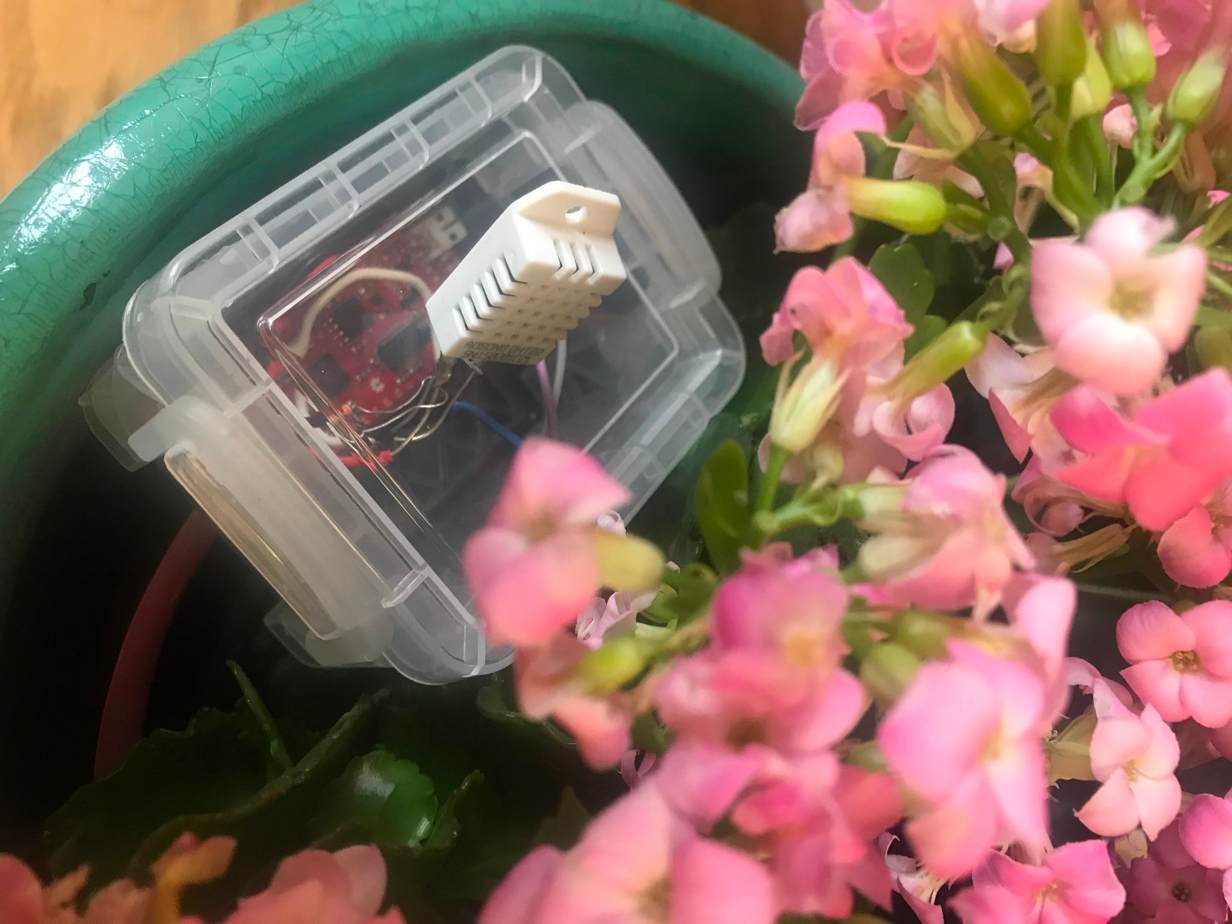 Plant Monitor Using ESP32 Thing and Blynk : 5 Steps - Instructables