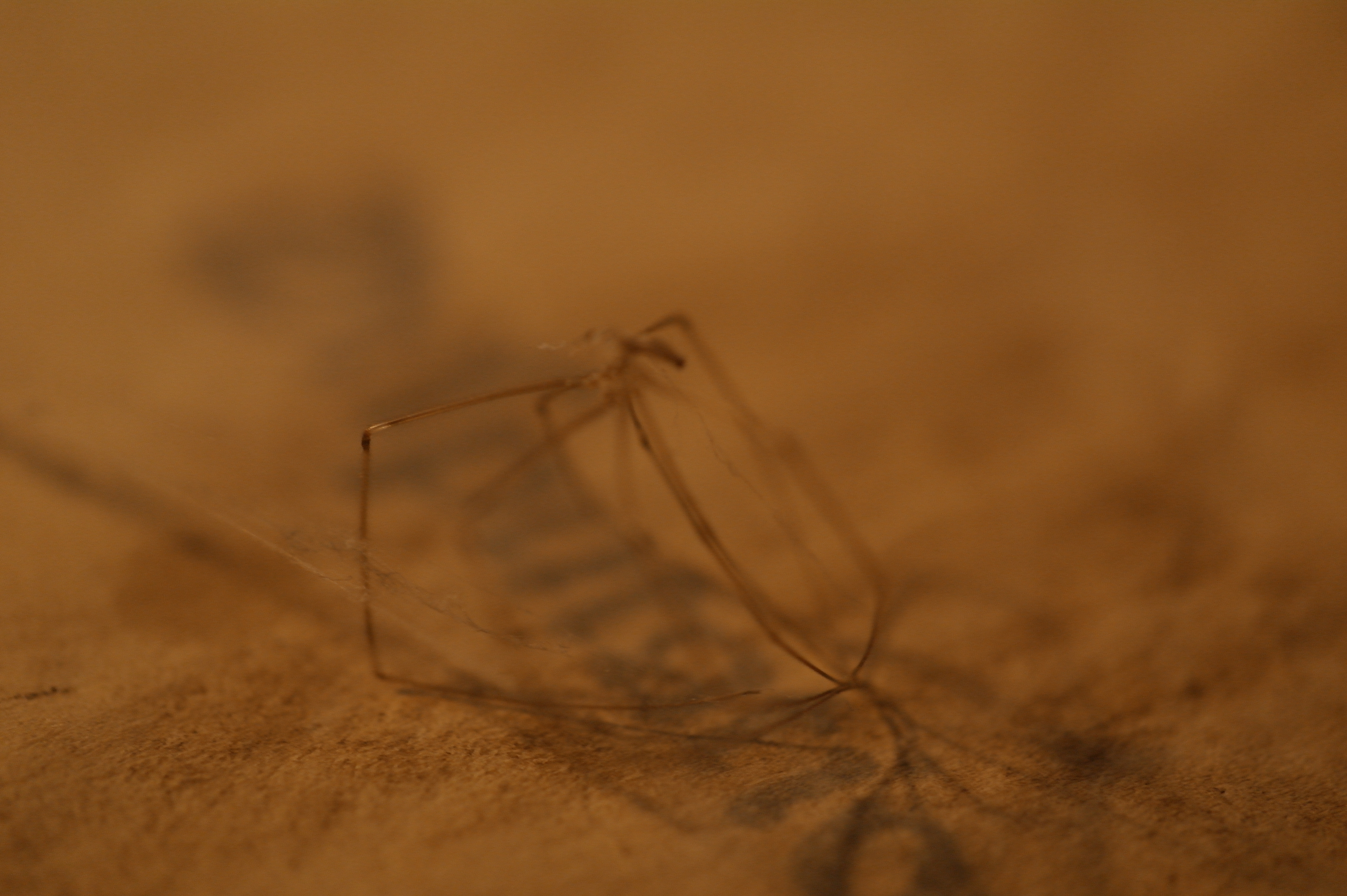 Reliced Paper - Instructables