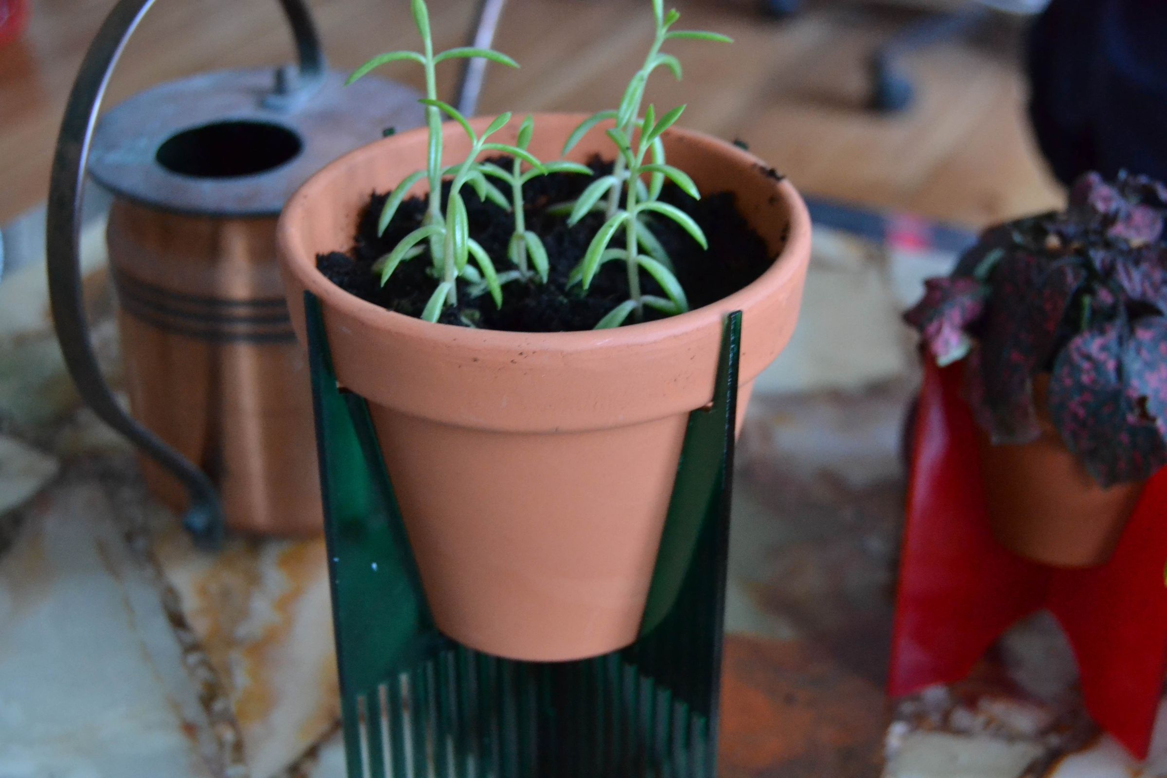 Laser Cut Planters : 7 Steps (with Pictures) - Instructables