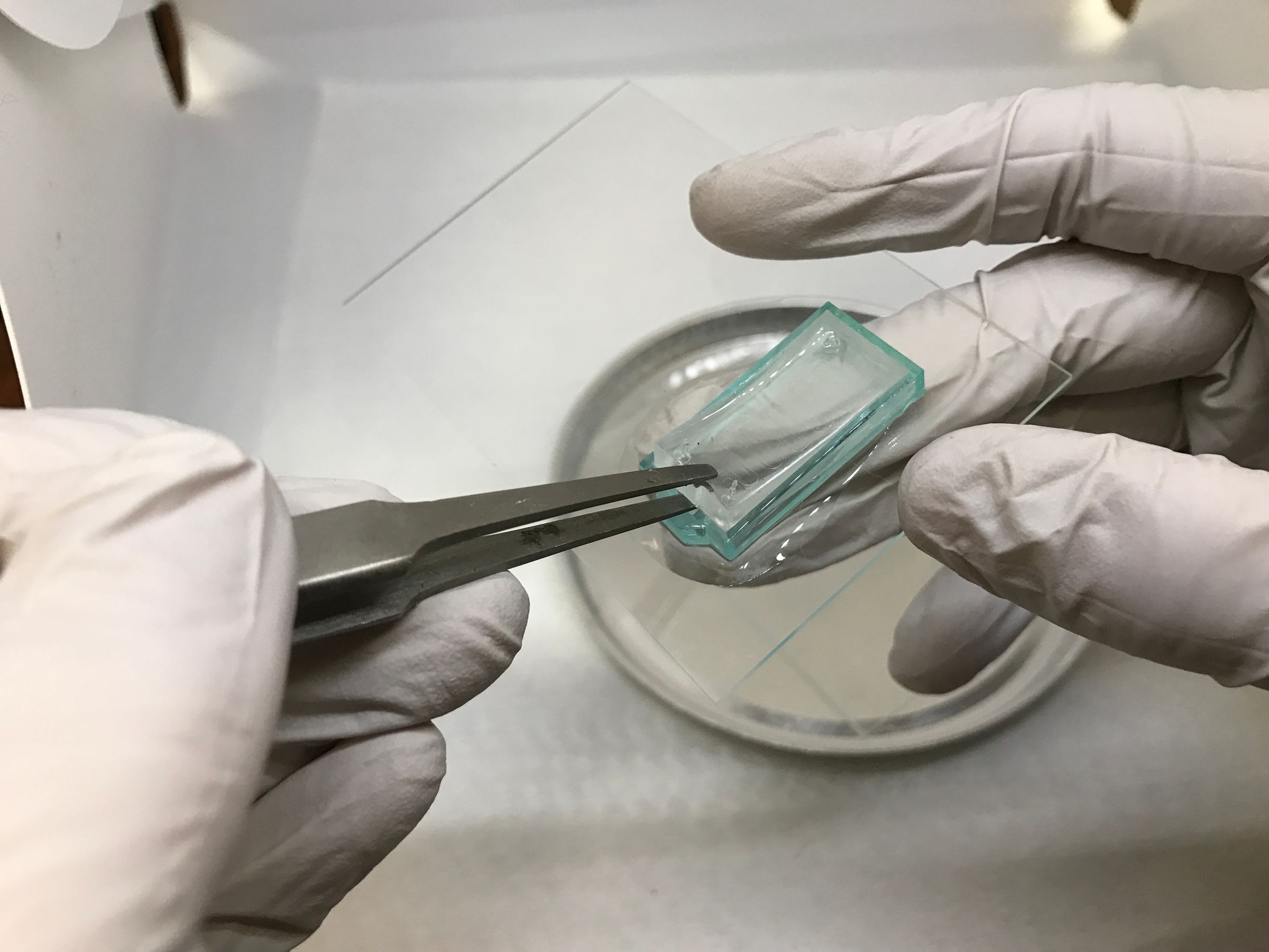 Making a PDMS Microfluidic Device With Maskless Molds : 7 Steps (with ...
