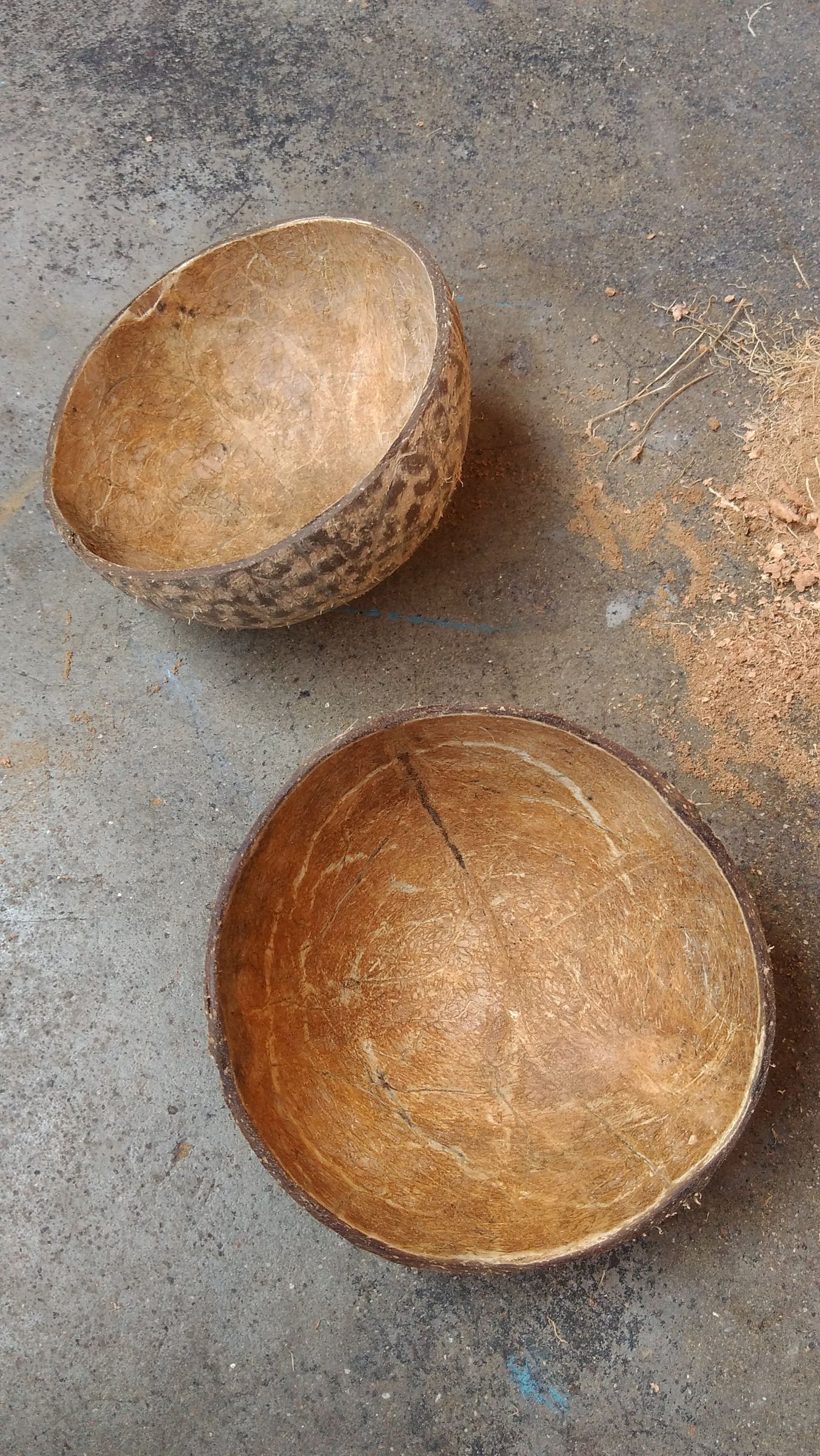 Bird-feeder From Trashed Coconut-shell : 12 Steps (with Pictures ...