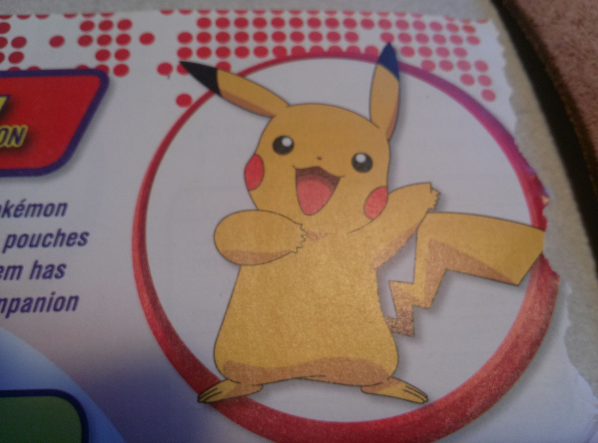 Stretched Pikachu Pelt : 7 Steps (with Pictures) - Instructables