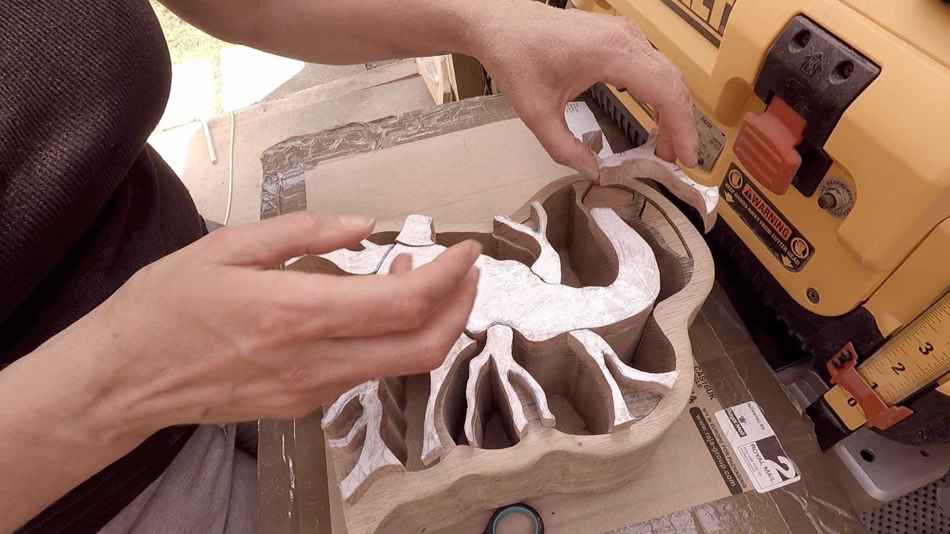 Tree Bandsaw Box : 12 Steps (with Pictures) - Instructables