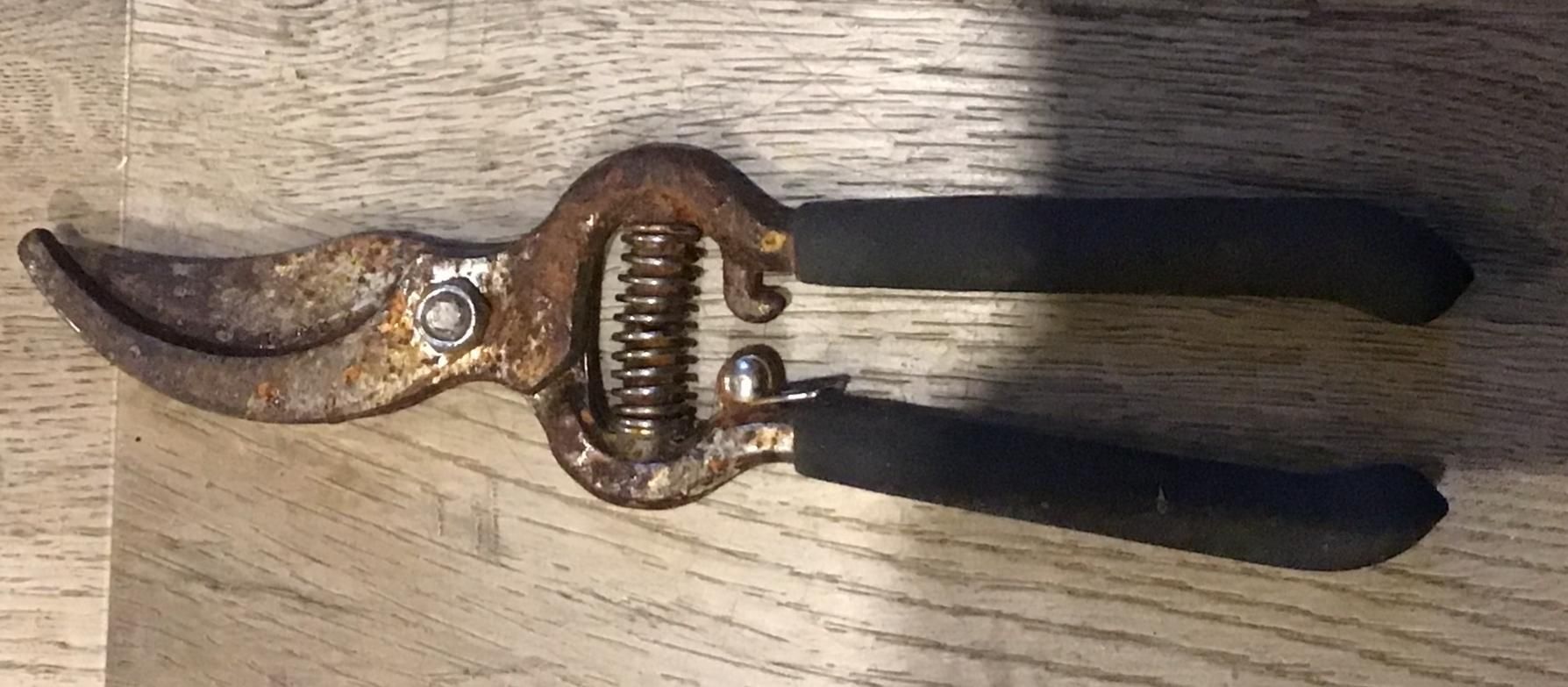 How to Remove Rust From Garden Tools!!! : 5 Steps - Instructables