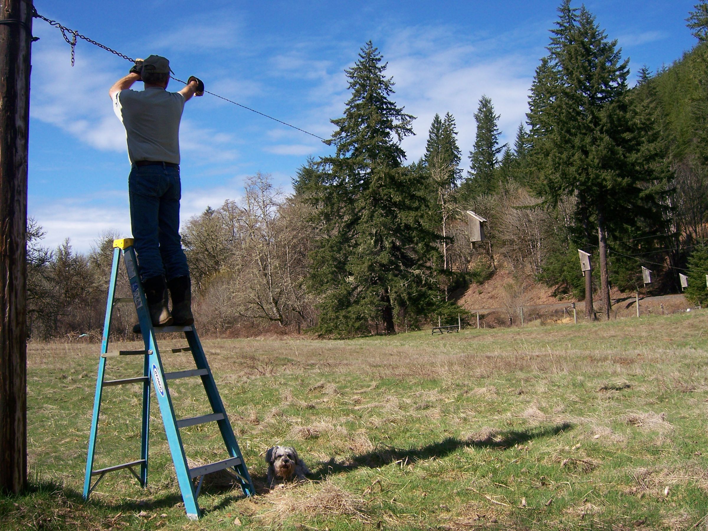 Natural Pest Control for Your Garden! : 9 Steps (with Pictures ...