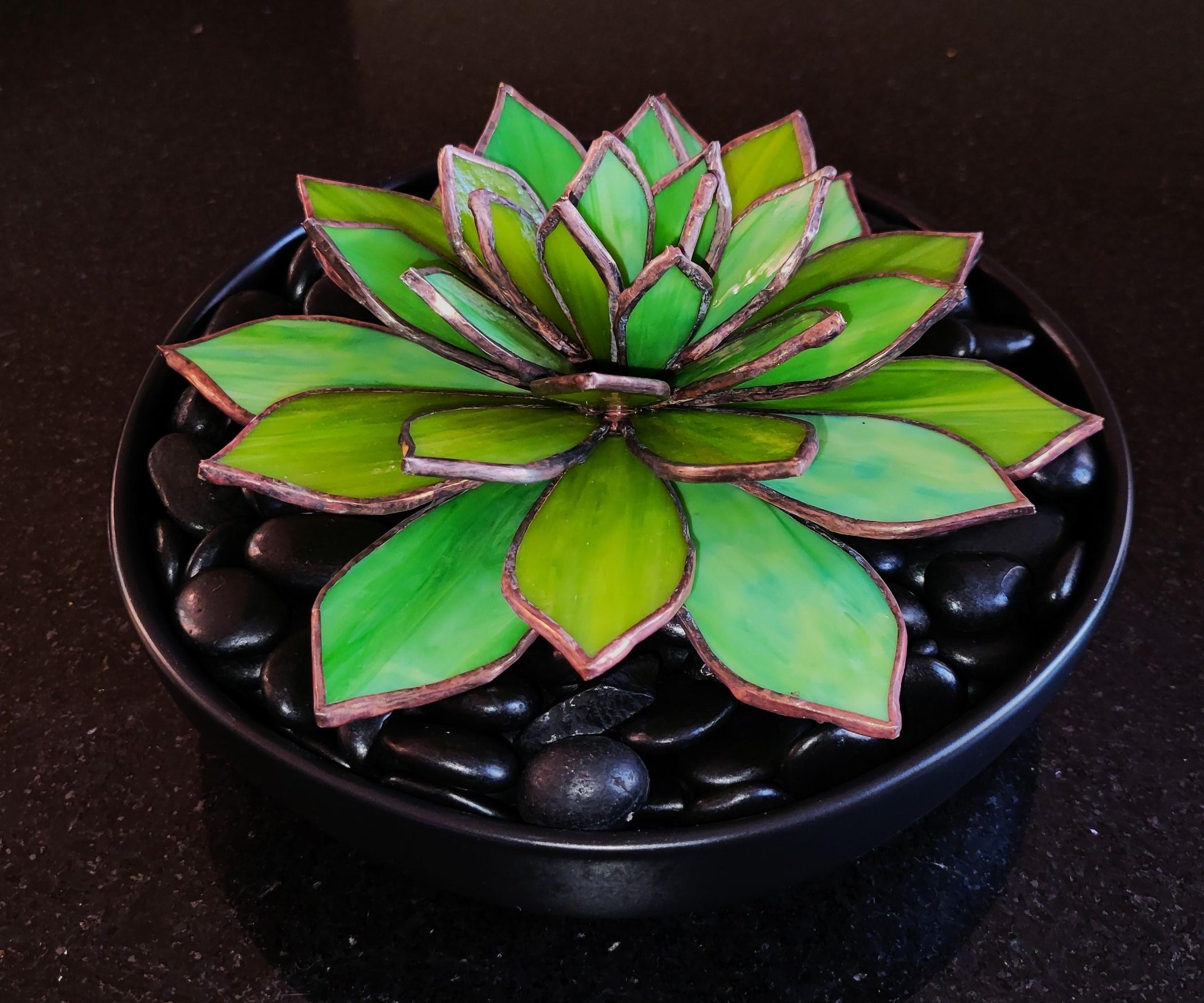 Stained Glass Succulent Pattern : 11 Steps (with Pictures) - Instructables