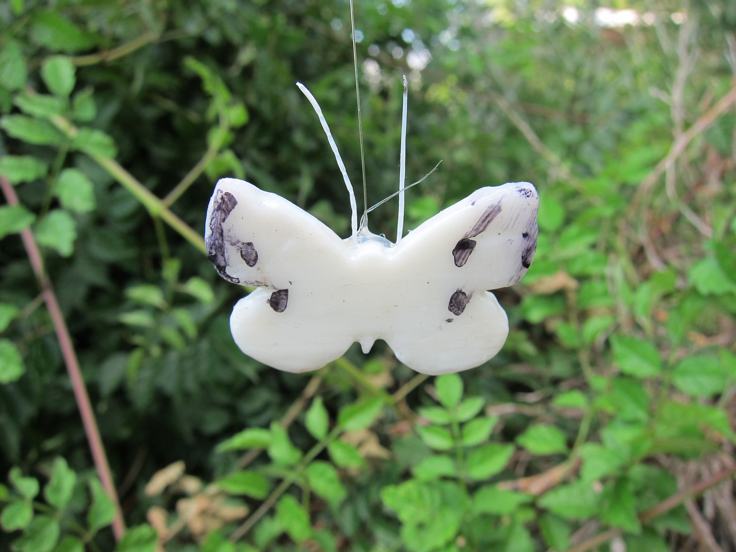 3D Printing a Cabbage Moth / Butterfly Decoy to Save Your Cabbage : 6 ...