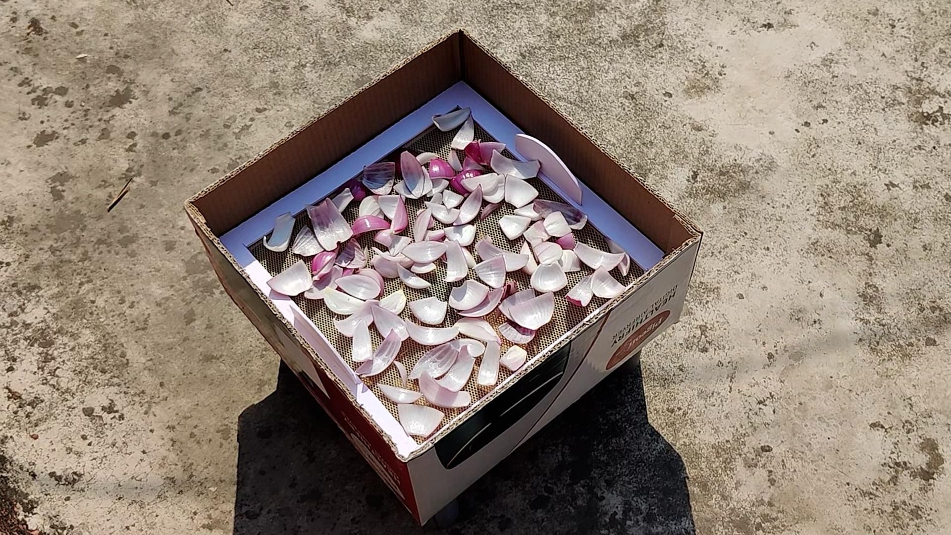 Solar Powered Food Dryer - How to Make a Sustainable Way to Preserve ...