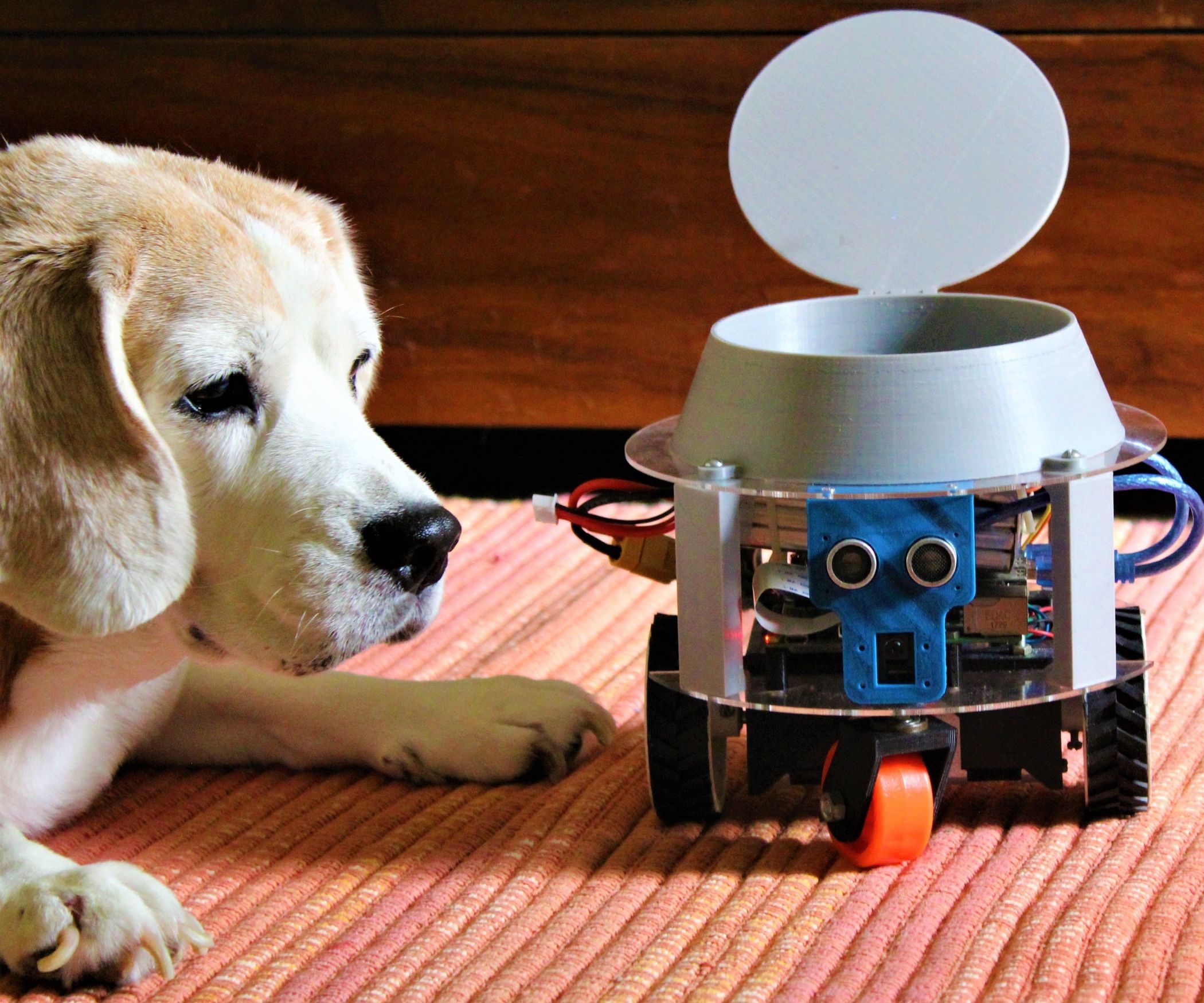 Arduino and Raspberry Pi Powered Pet Monitoring System : 19 Steps (with ...
