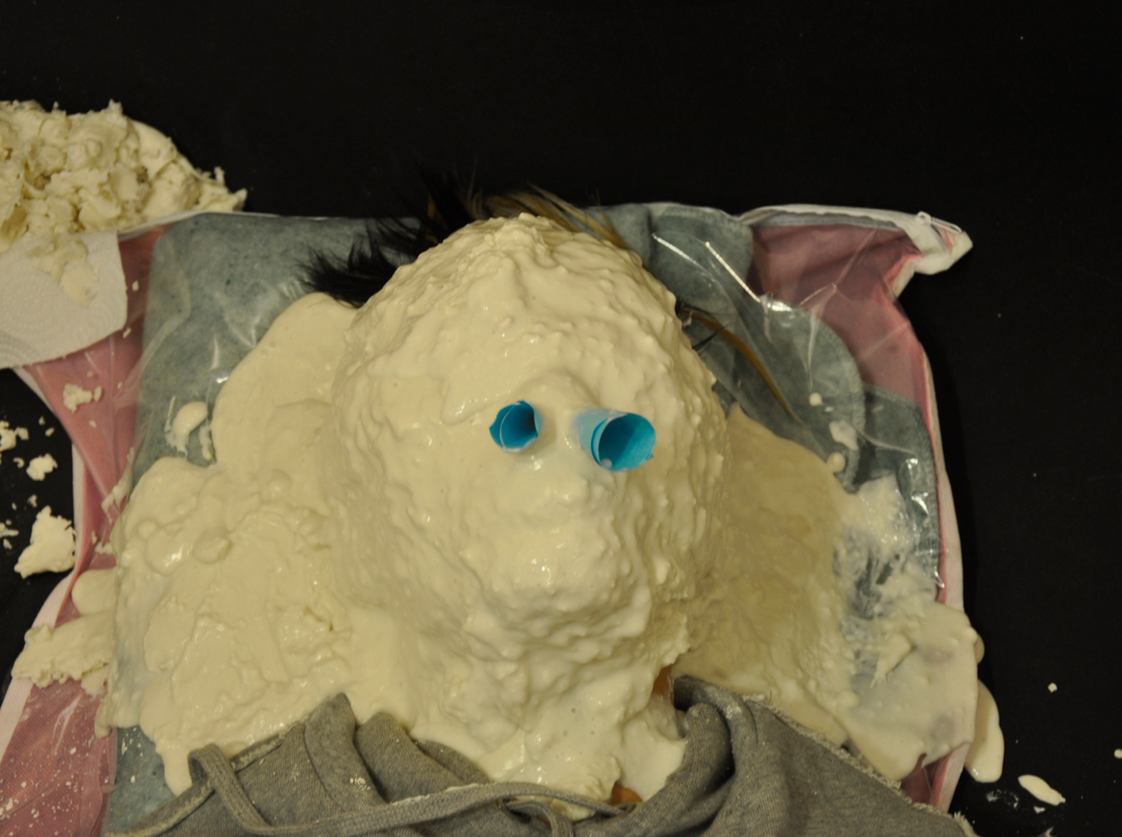 Alginate Mold - Face : 6 Steps (with Pictures) - Instructables