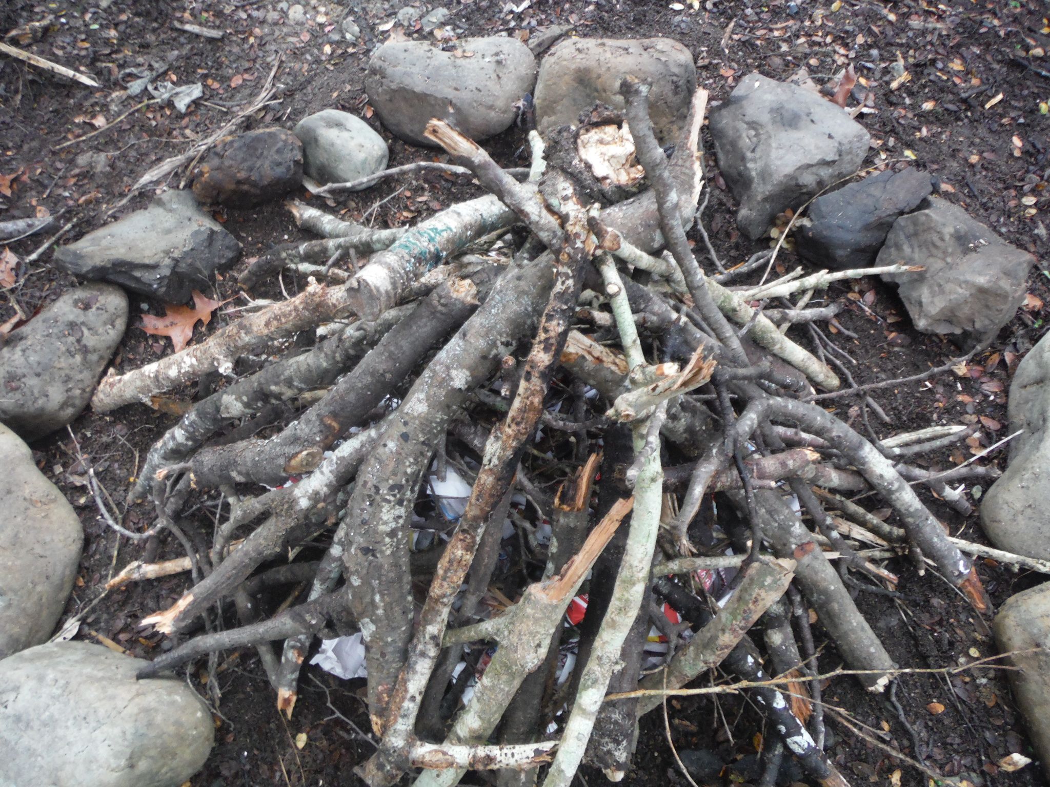 Delicious Campfire-Cooked Damper Bread! : 11 Steps (with Pictures ...