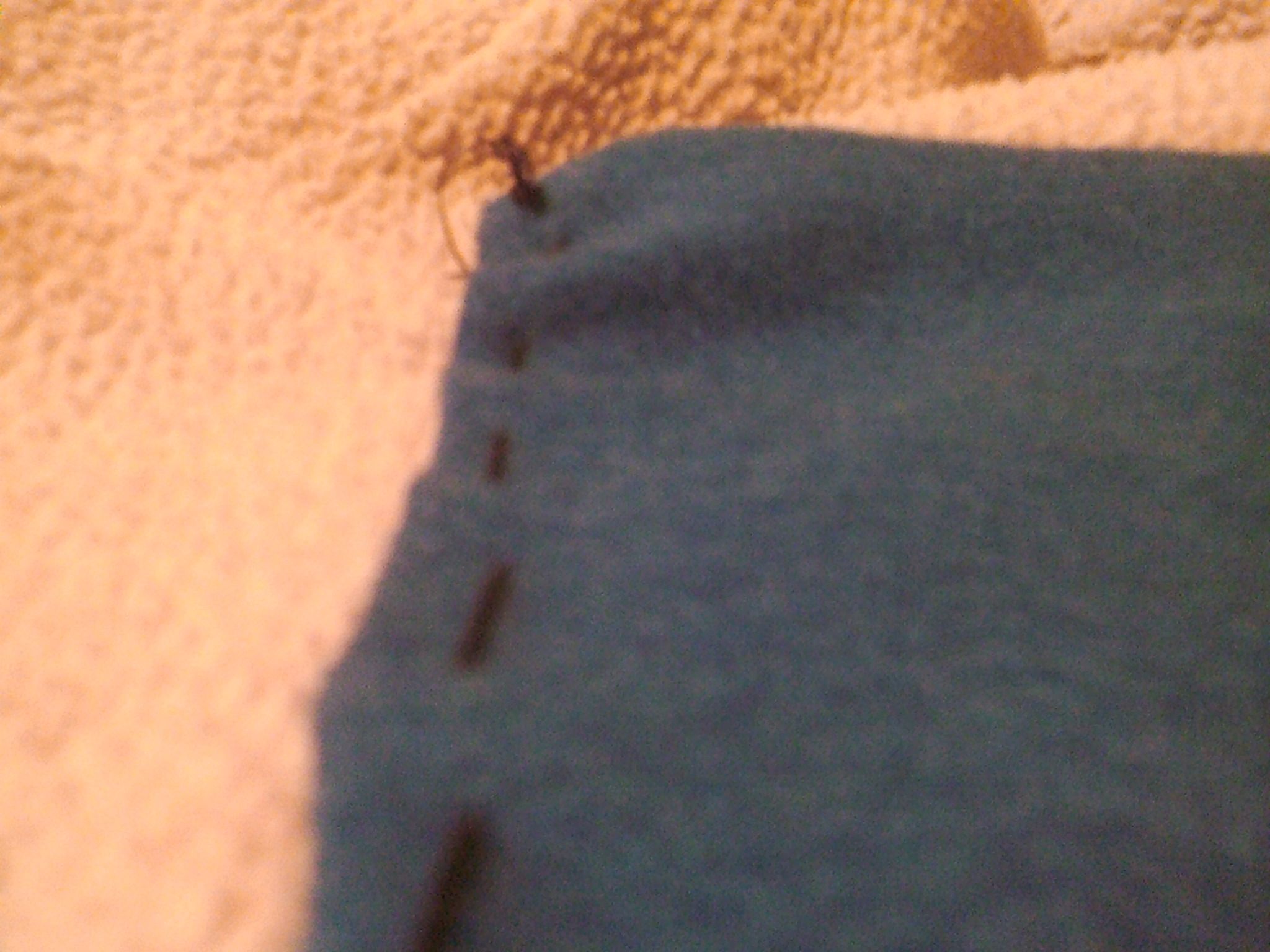 Hidden Jacket Pocket : 5 Steps - Instructables