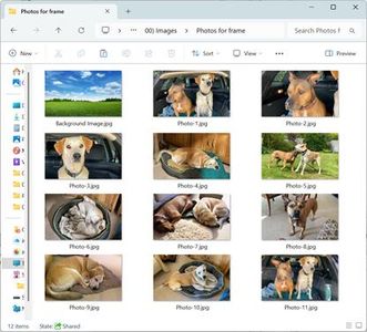 Rushtp #3 - Nextion Intelligent - Photo Frame ExPicture Files From the ...