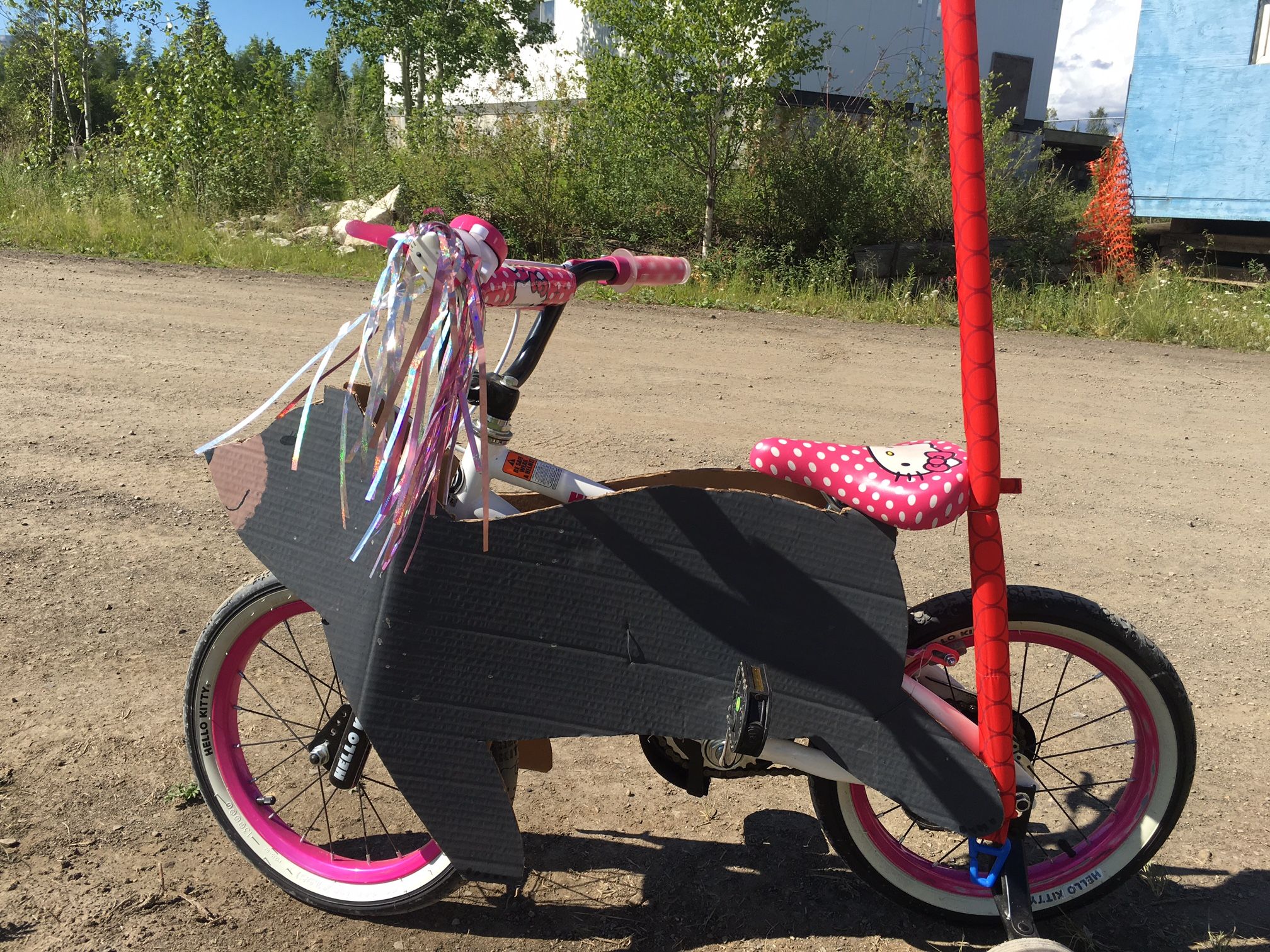 "Ride a Bear" Bike : 7 Steps (with Pictures) - Instructables