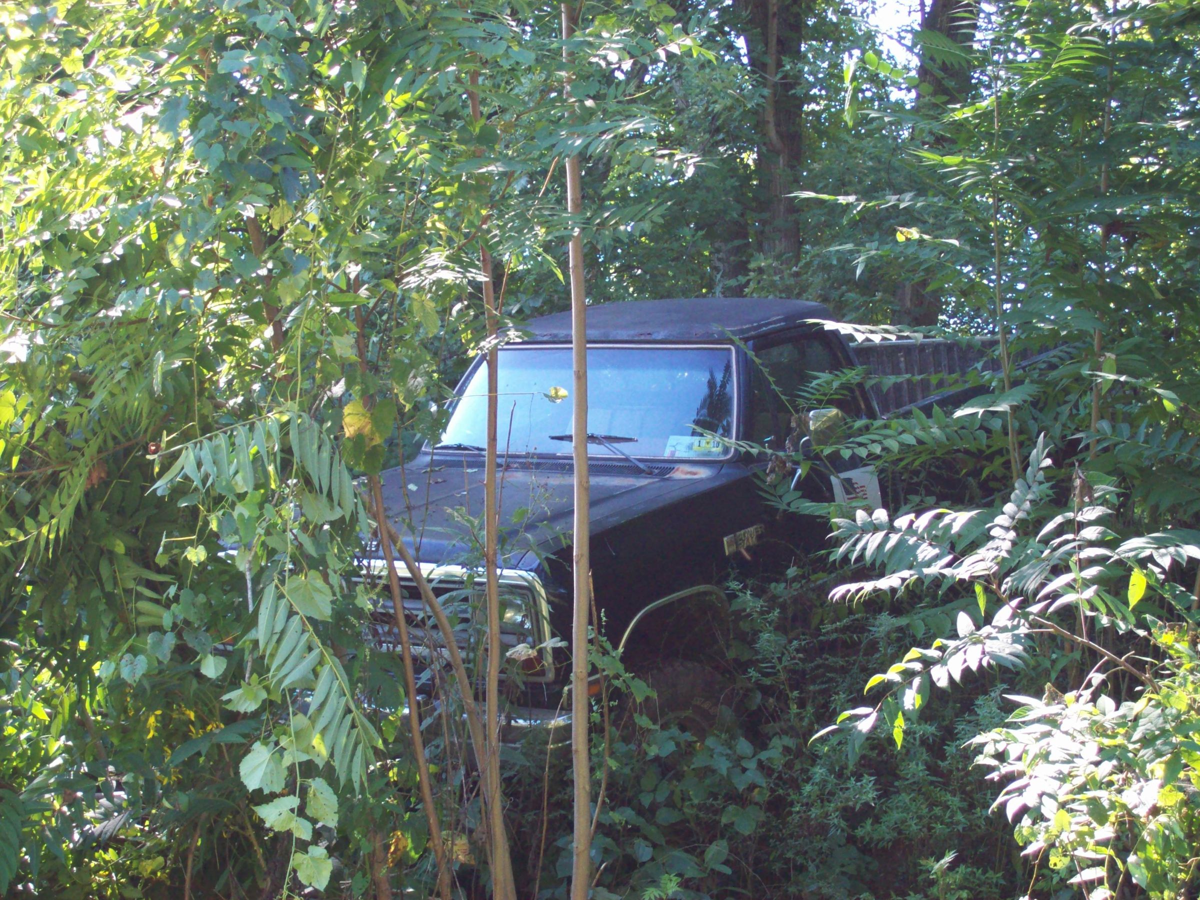 Redneck Weedeater Aftermath - Instructables