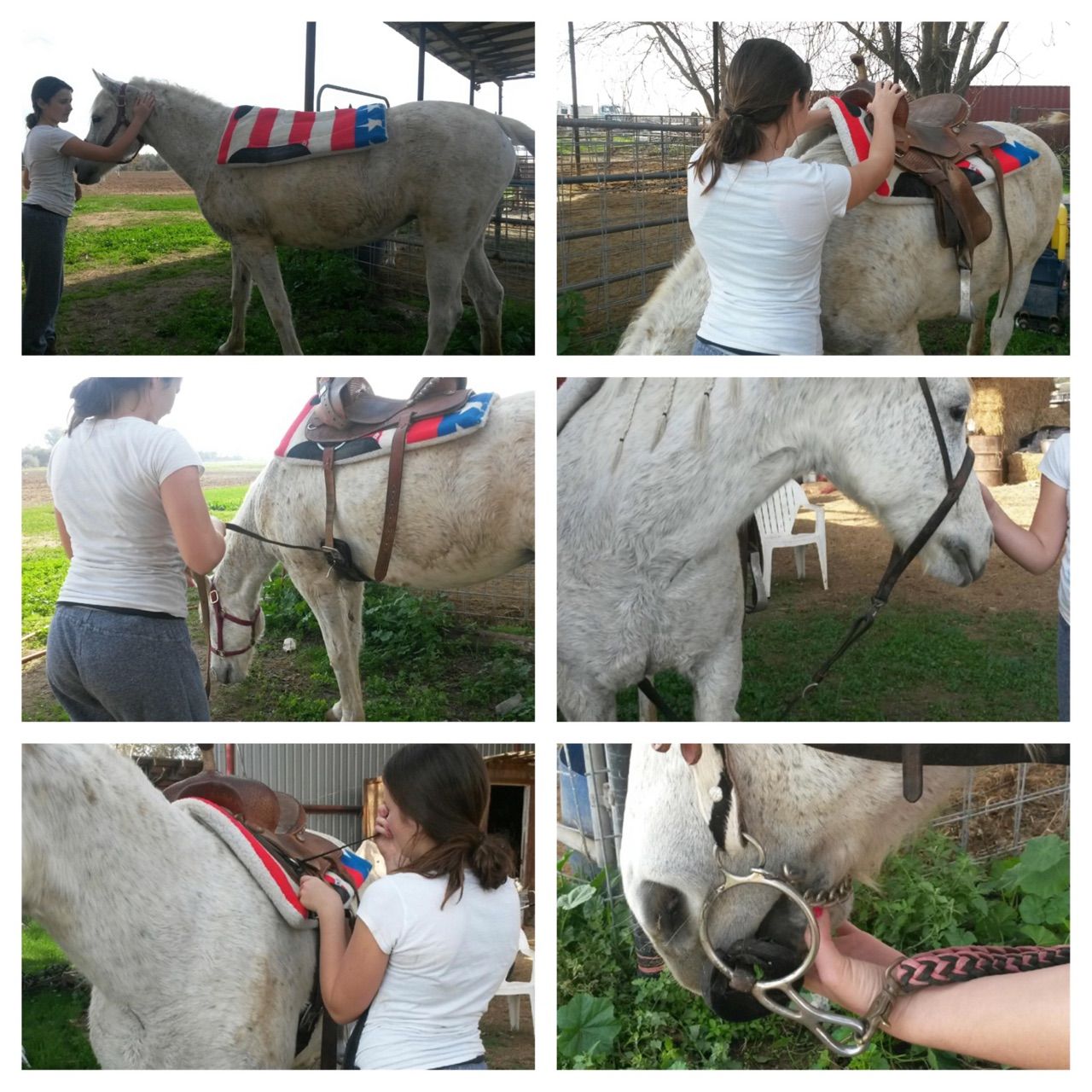 How to Saddle a Horse the Western Way Simply : 4 Steps - Instructables