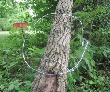 The Squirrel Snare : 5 Steps (with Pictures) - Instructables
