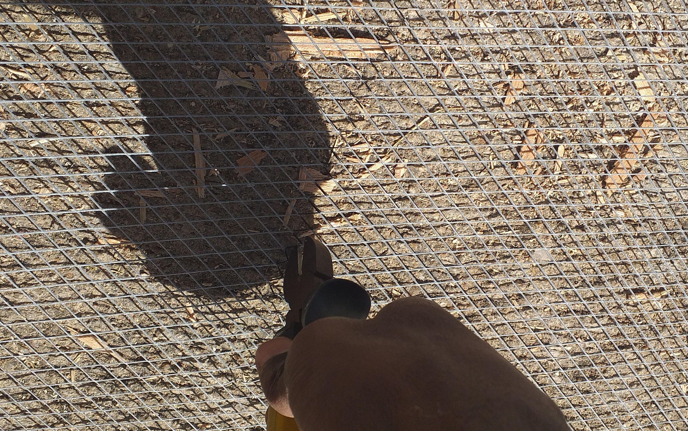 Pigeon House : 8 Steps (with Pictures) - Instructables