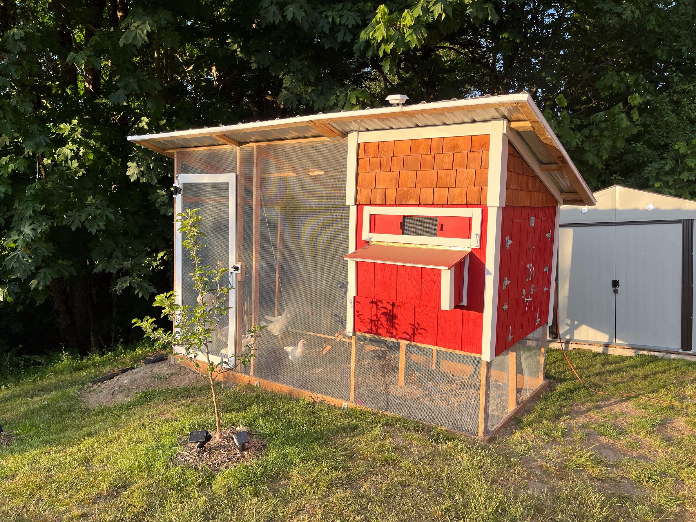 Build a DIY Chicken Palace : 7 Steps (with Pictures) - Instructables