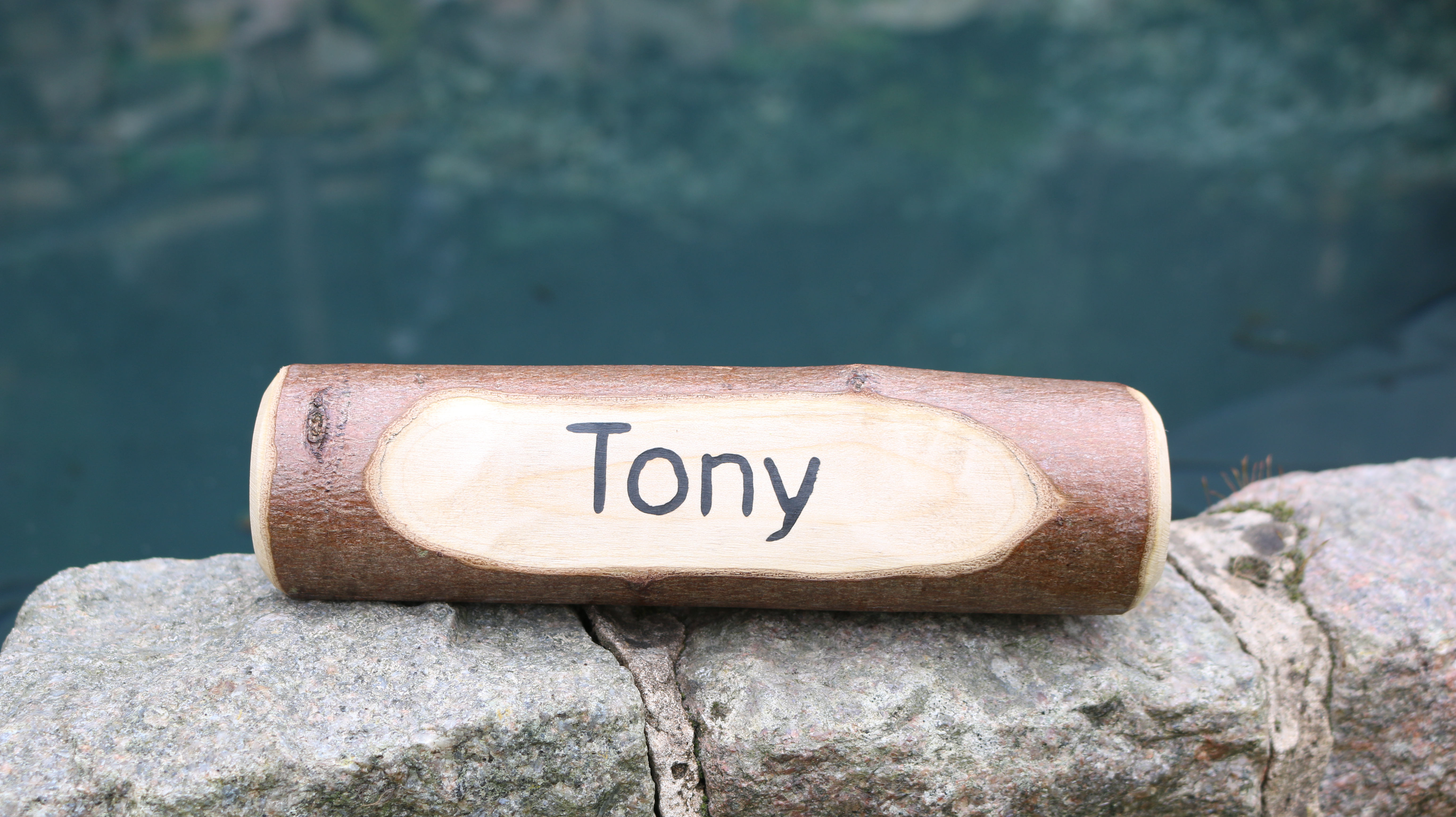 Super Simple! Rustic Log Name Plate : 4 Steps (with Pictures ...