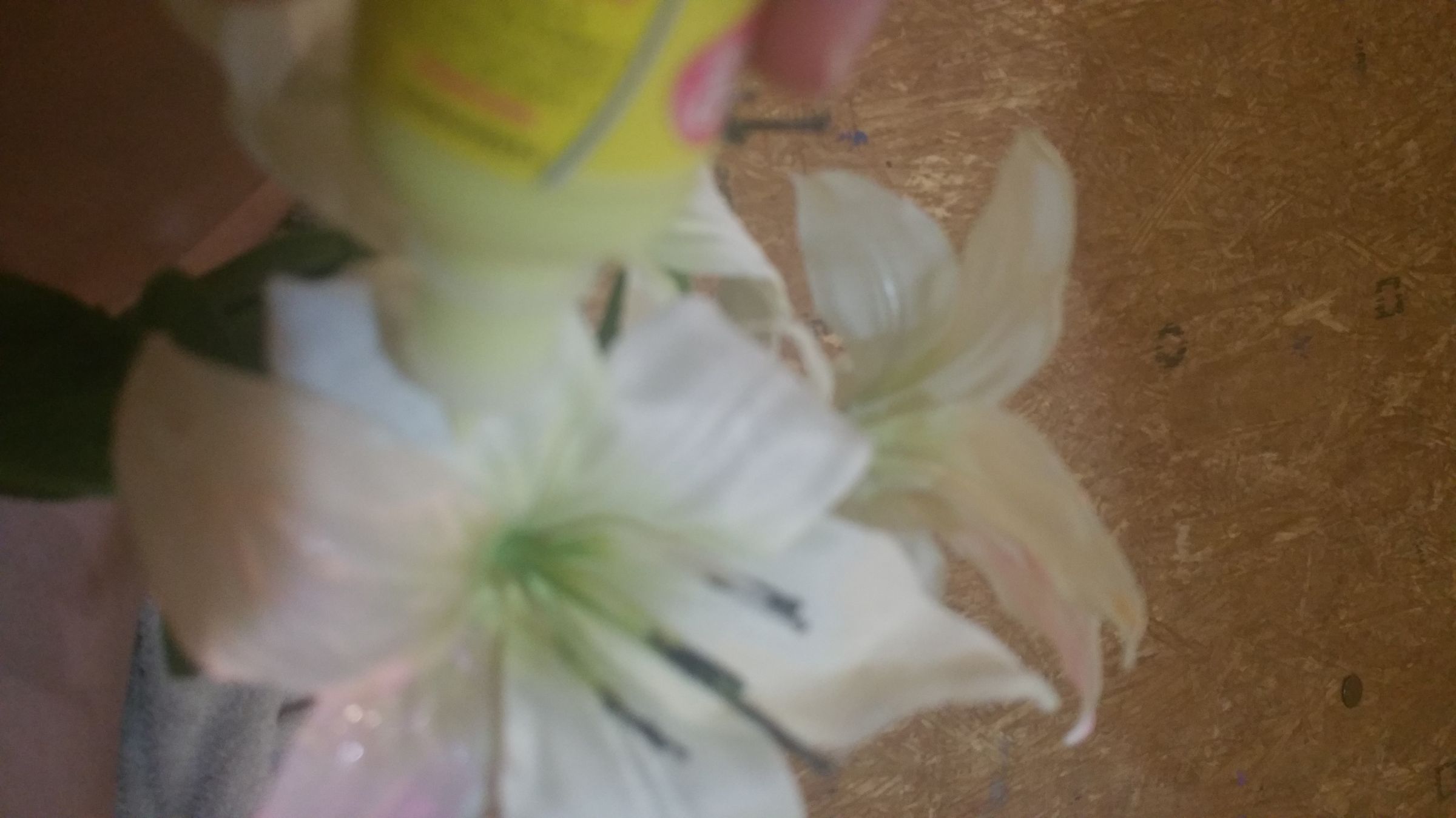 Glowflower : 6 Steps - Instructables