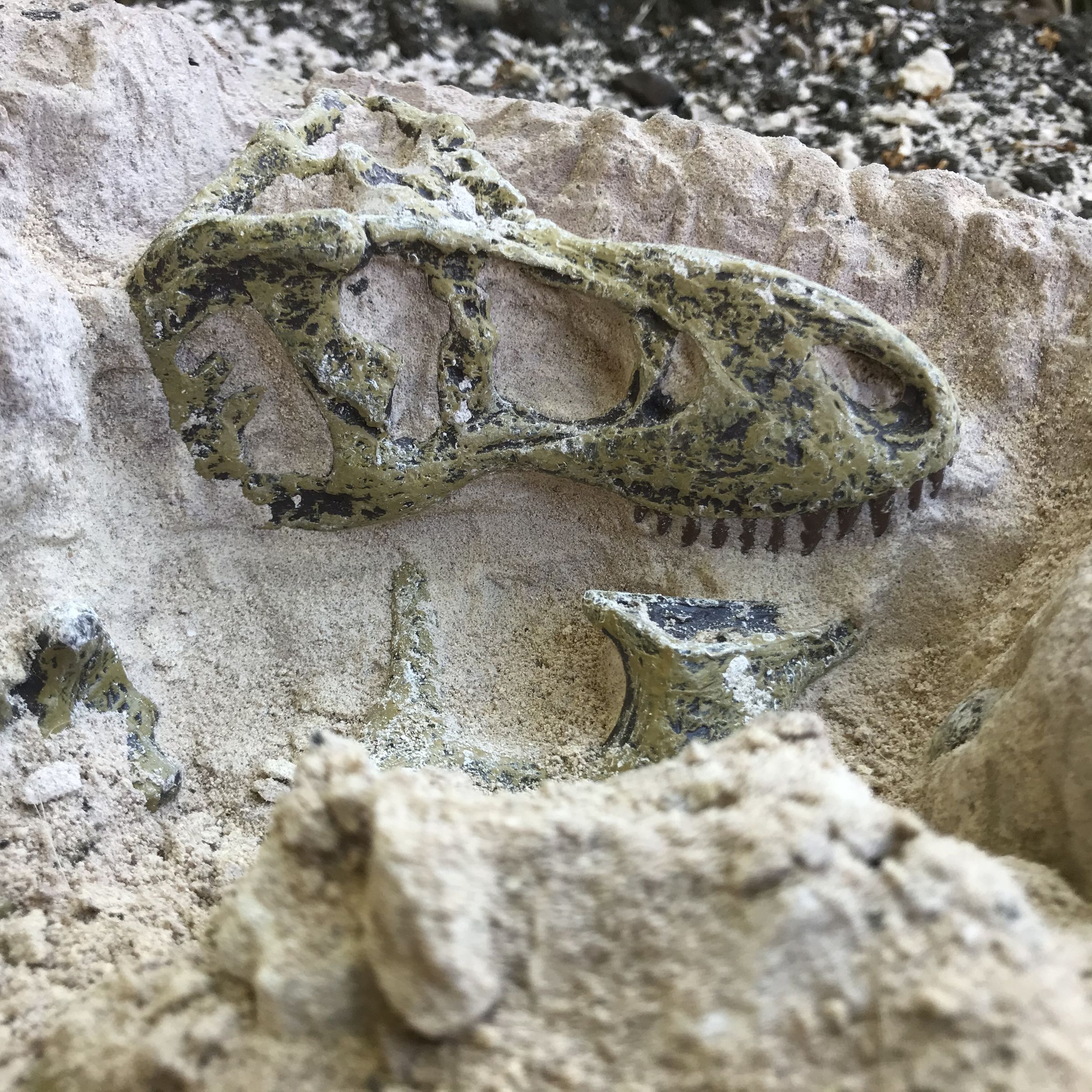 HUGE Homemade Dinosaur Excavation Dig : 5 Steps - Instructables