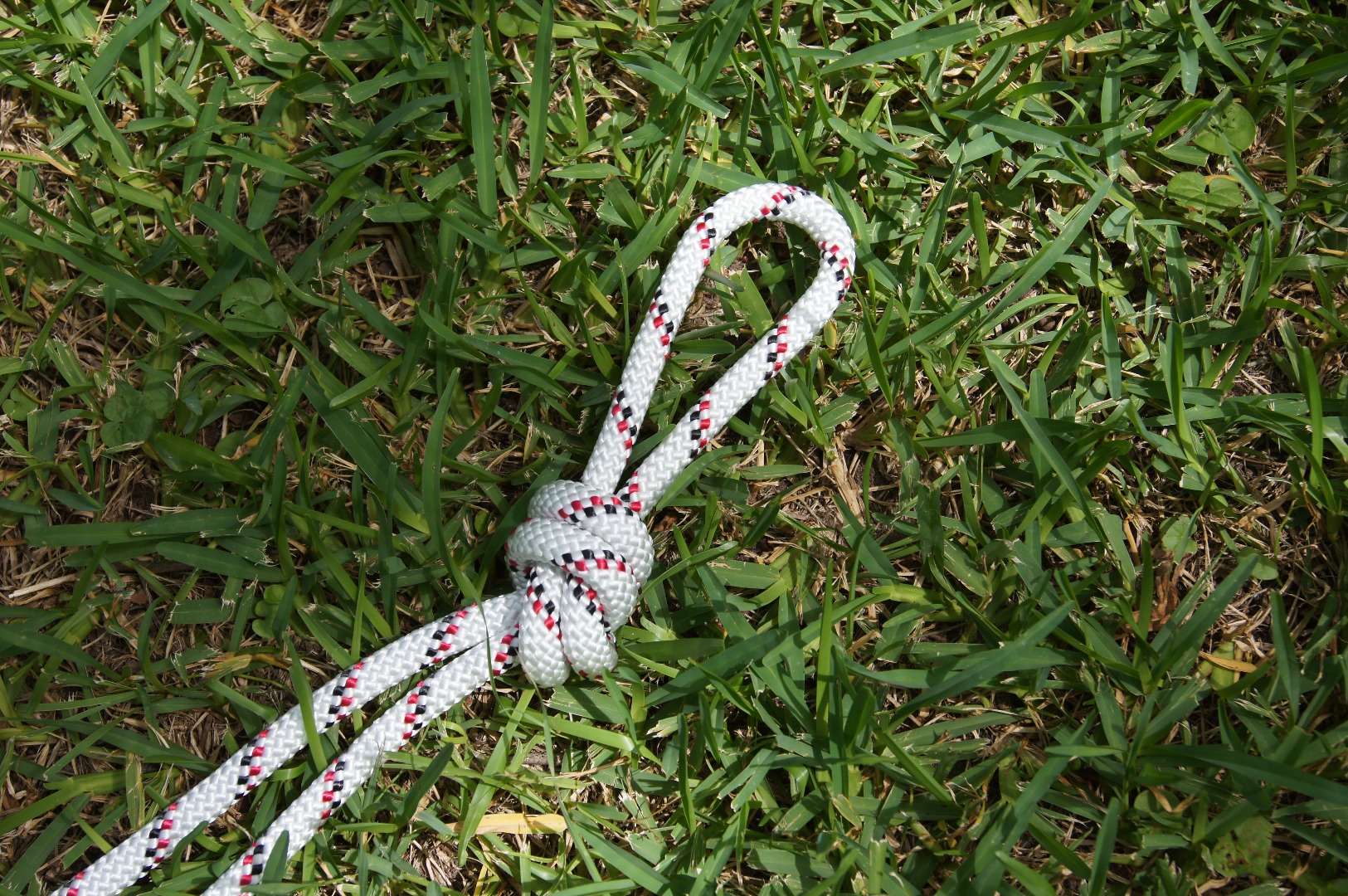 Triple Tree Hammock : 6 Steps (with Pictures) - Instructables