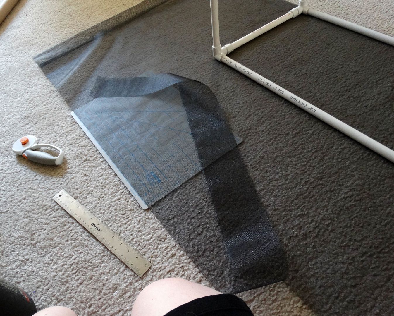 Raising Giant Silk Moths : 15 Steps (with Pictures) - Instructables