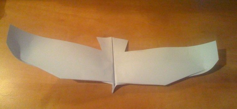 Paper Hawk : 27 Steps - Instructables