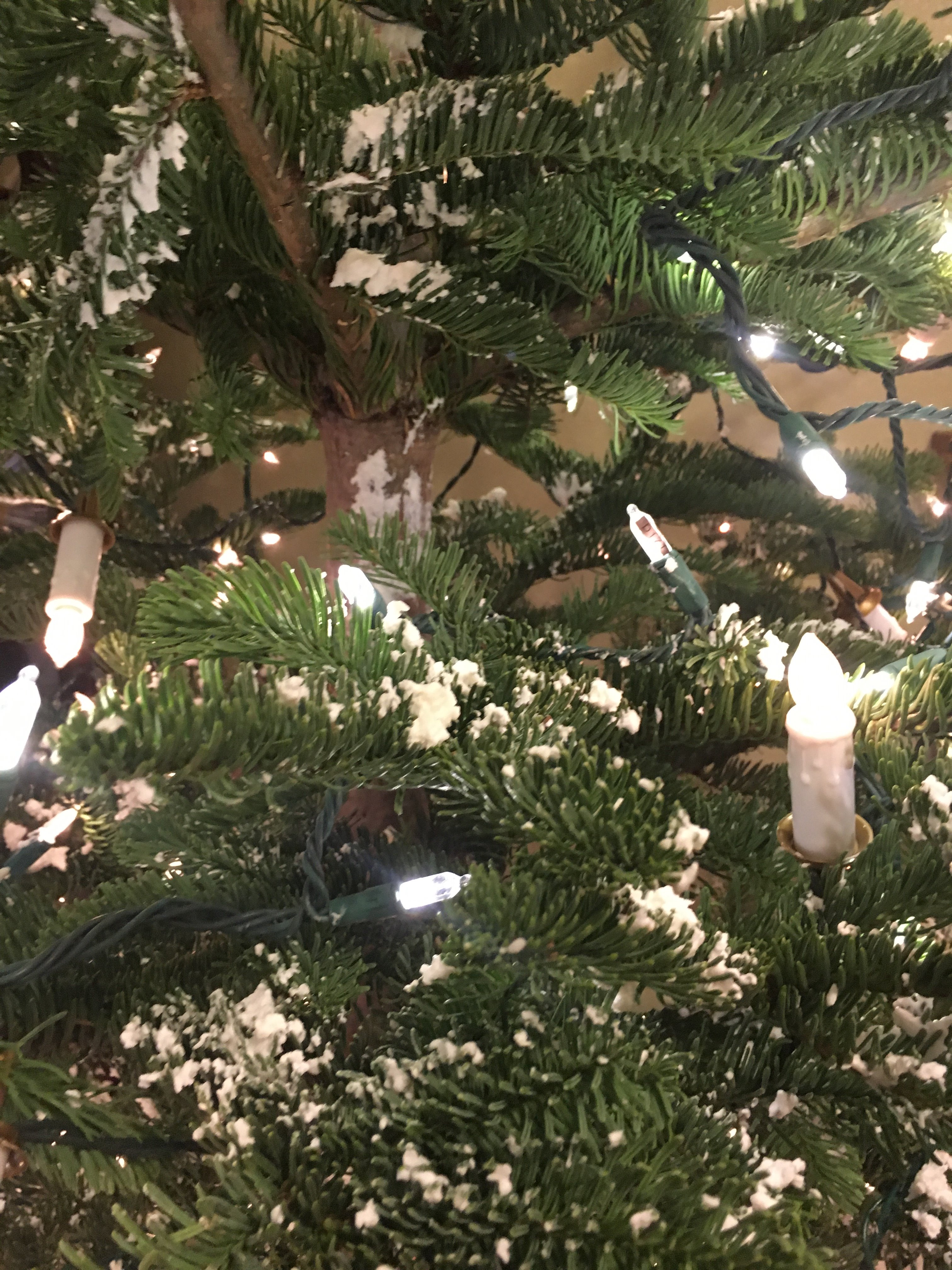 Snow Flocking Christmas Tree's : 4 Steps (with Pictures) - Instructables