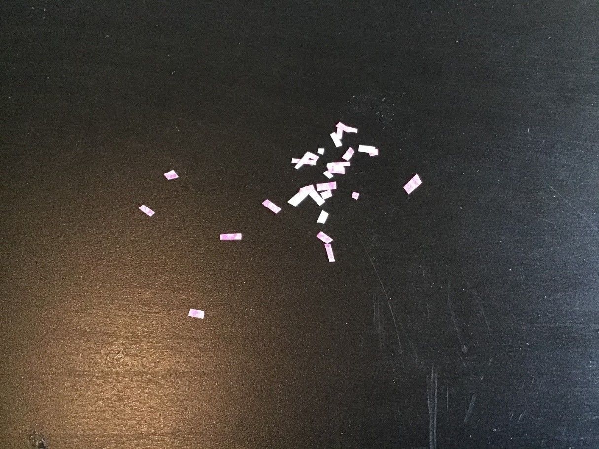 Build a Model of a Human Cell : 8 Steps (with Pictures) - Instructables